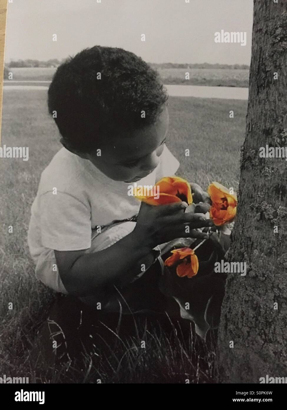 Boy picking flowers hi-res stock photography and images - Alamy