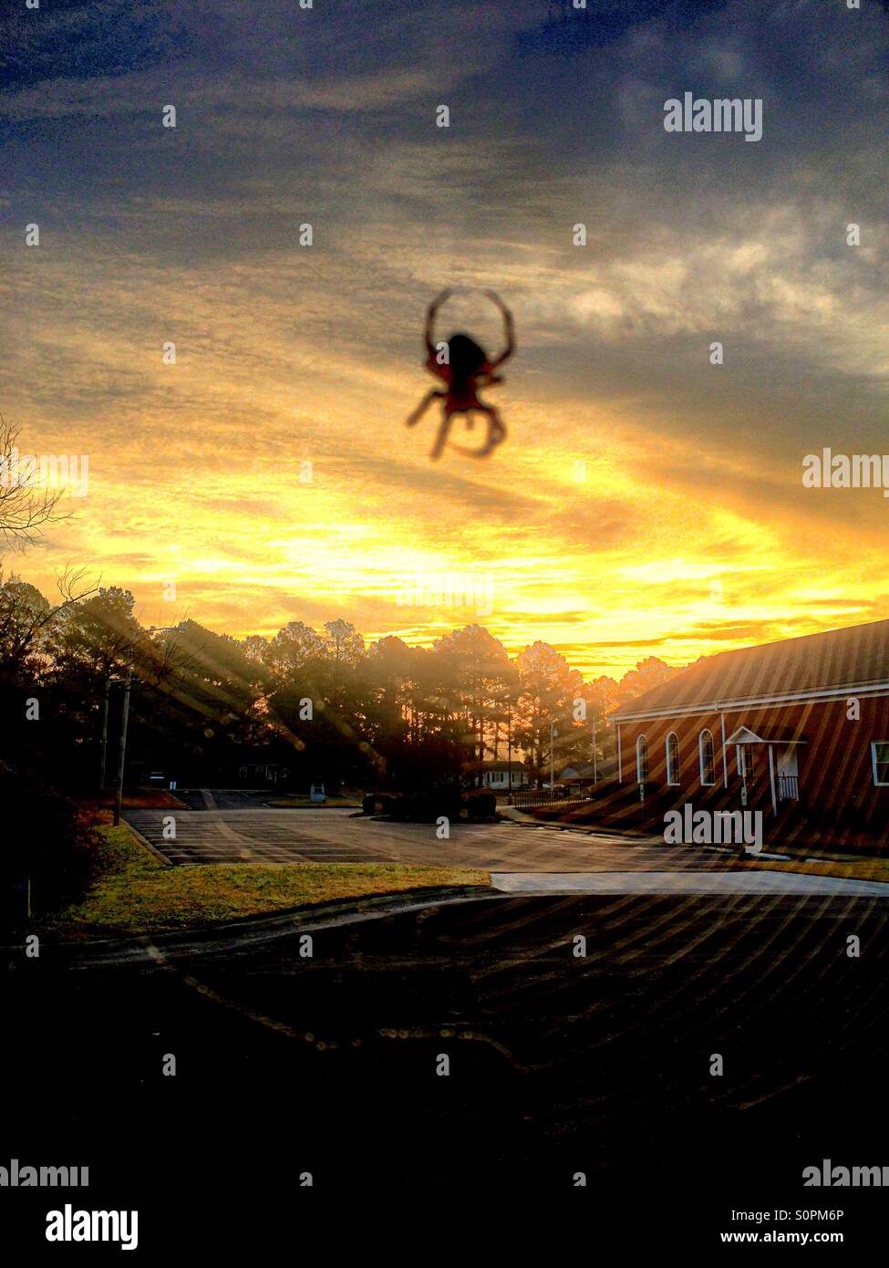 Sunrise insects hi-res stock photography and images - Alamy