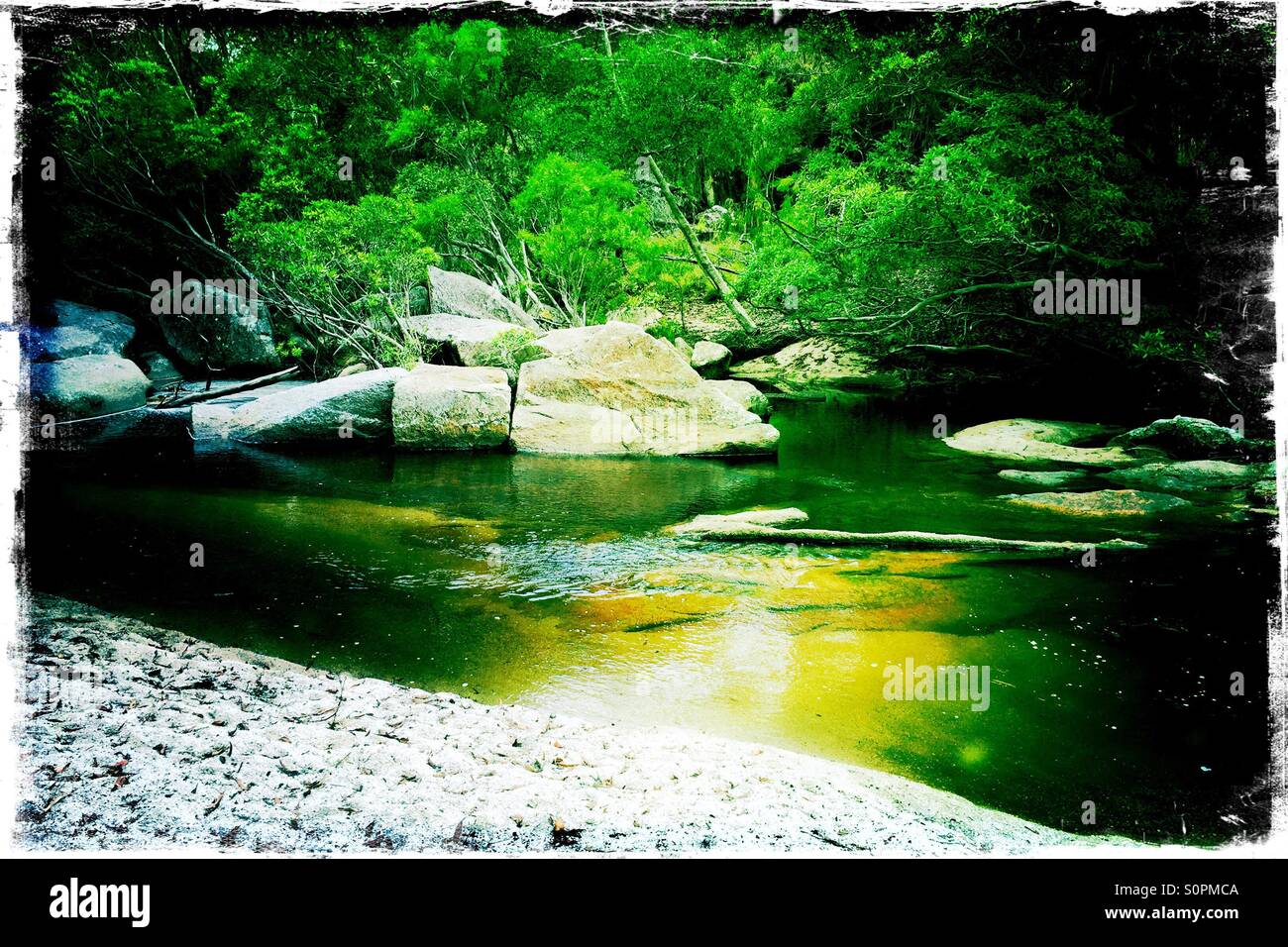 Australian Bush with Creek Stock Photo - Alamy