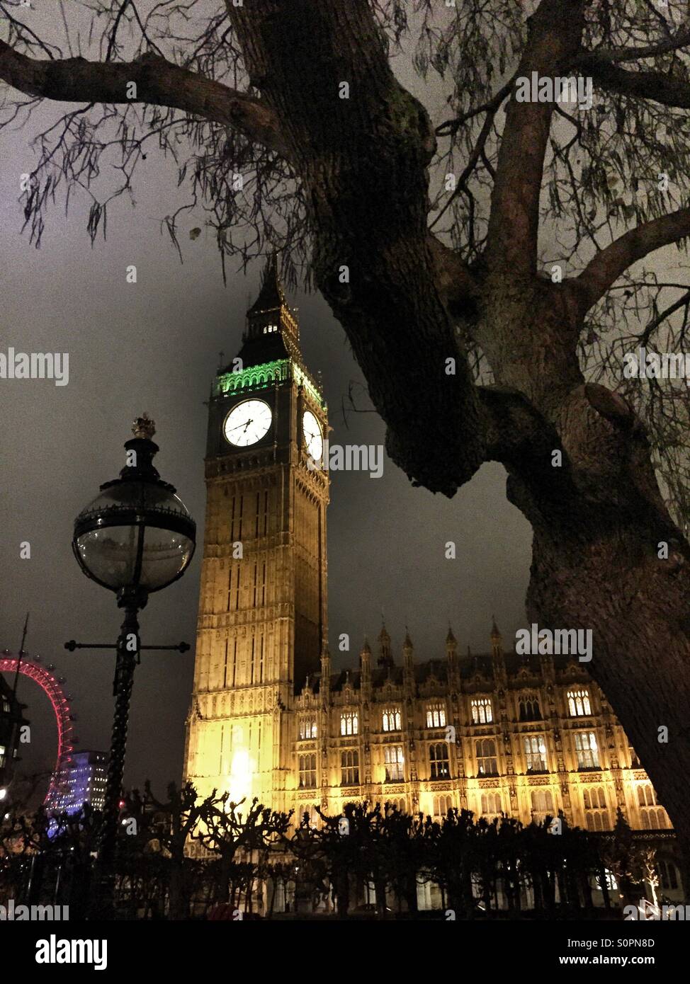 Ben tree hi-res stock photography and images - Alamy