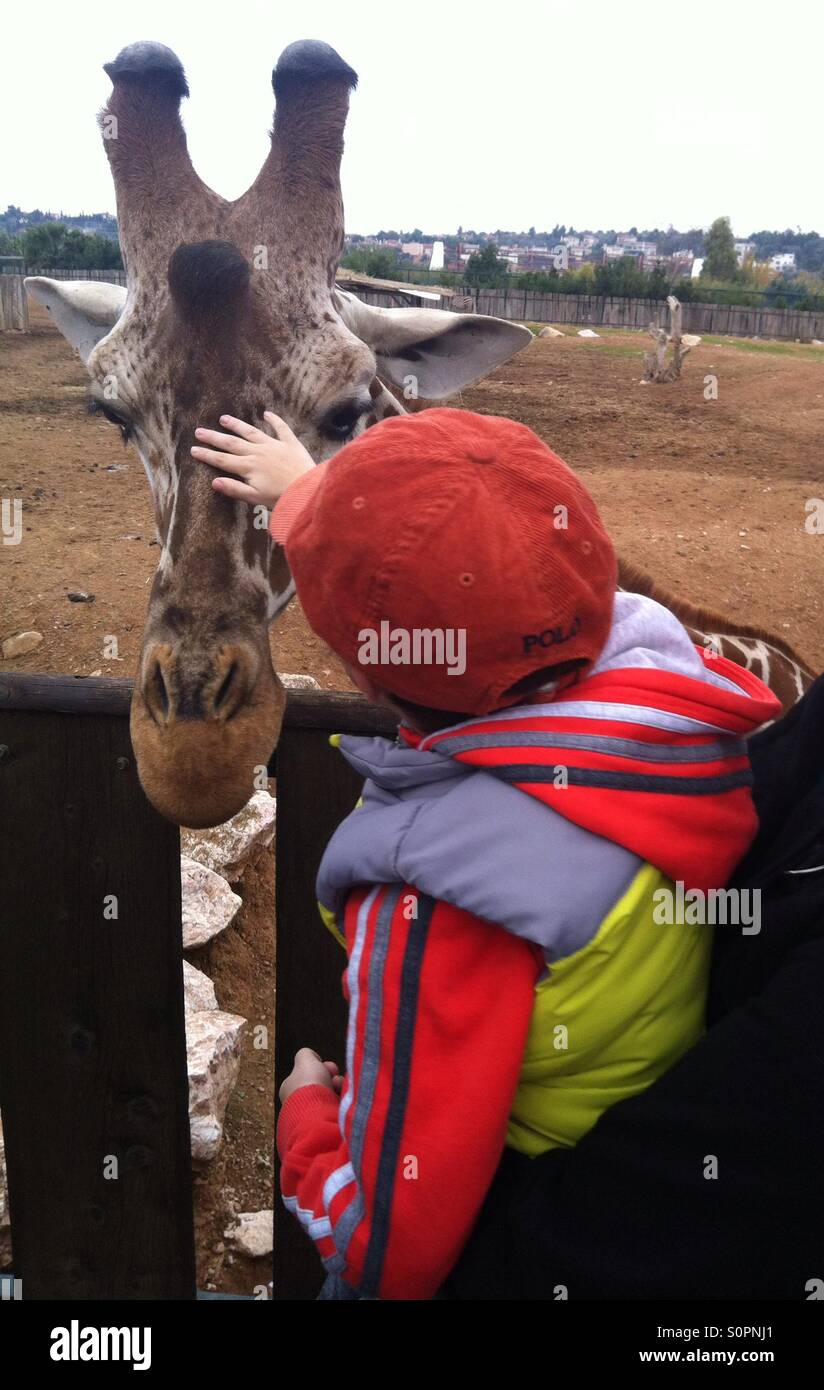 Giraffe zoo child hi-res stock photography and images - Alamy