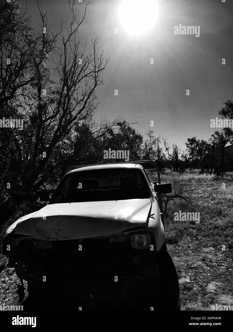 Car Bush Stock Photos & Car Bush Stock Images - Alamy