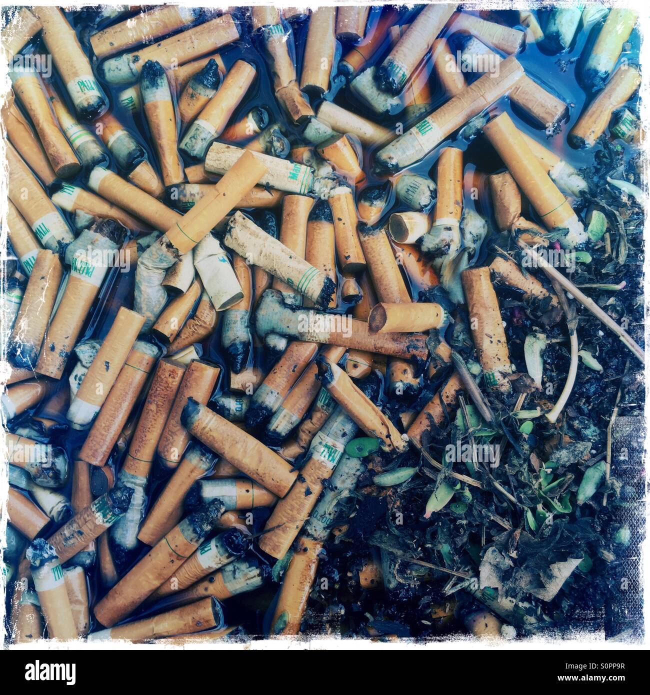 Cigarette Smoker Gross