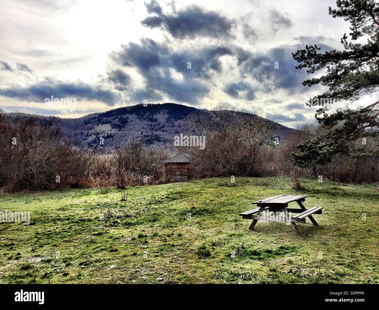 Lost in nature Stock Photo - Alamy