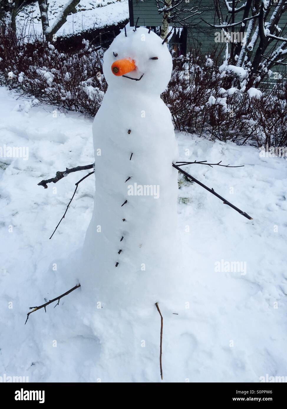 Bizarre Creations Snow