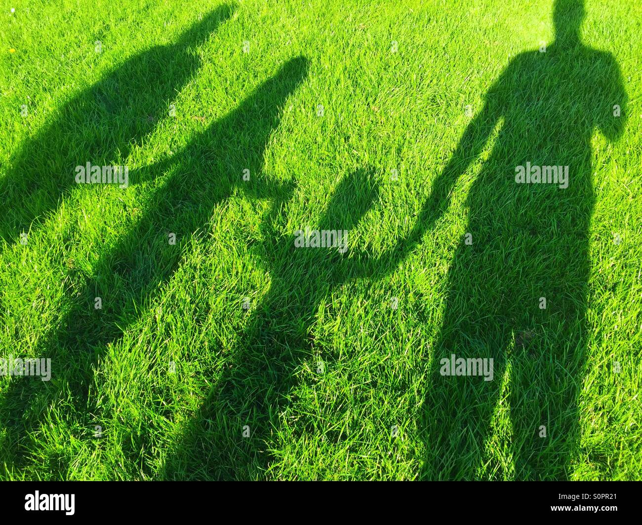 Strong sunlight shadows hi-res stock photography and images - Alamy