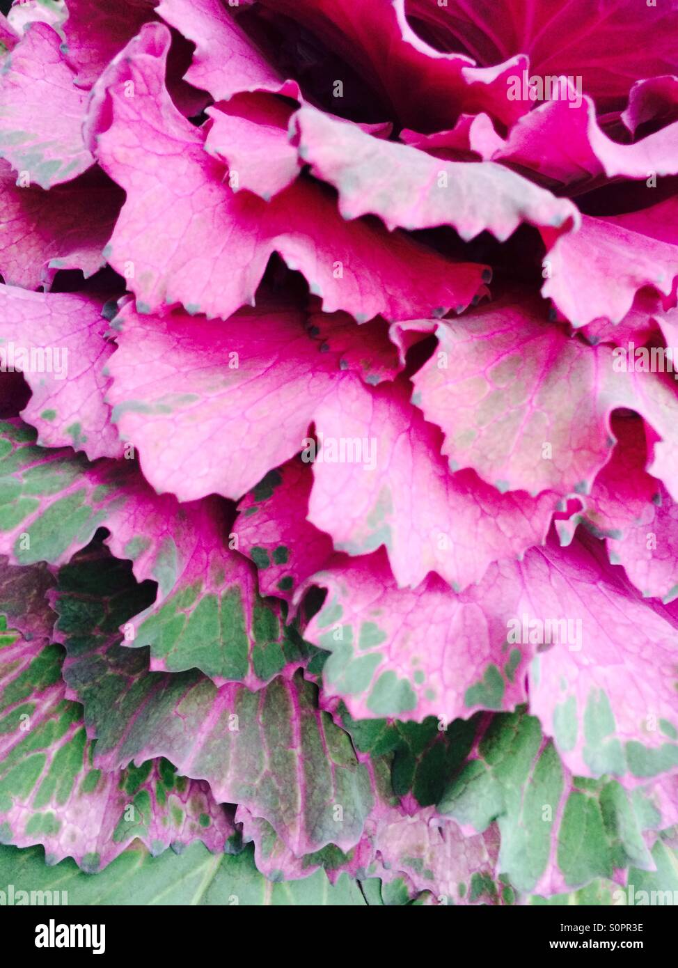 Layers design hi-res stock photography and images - Alamy