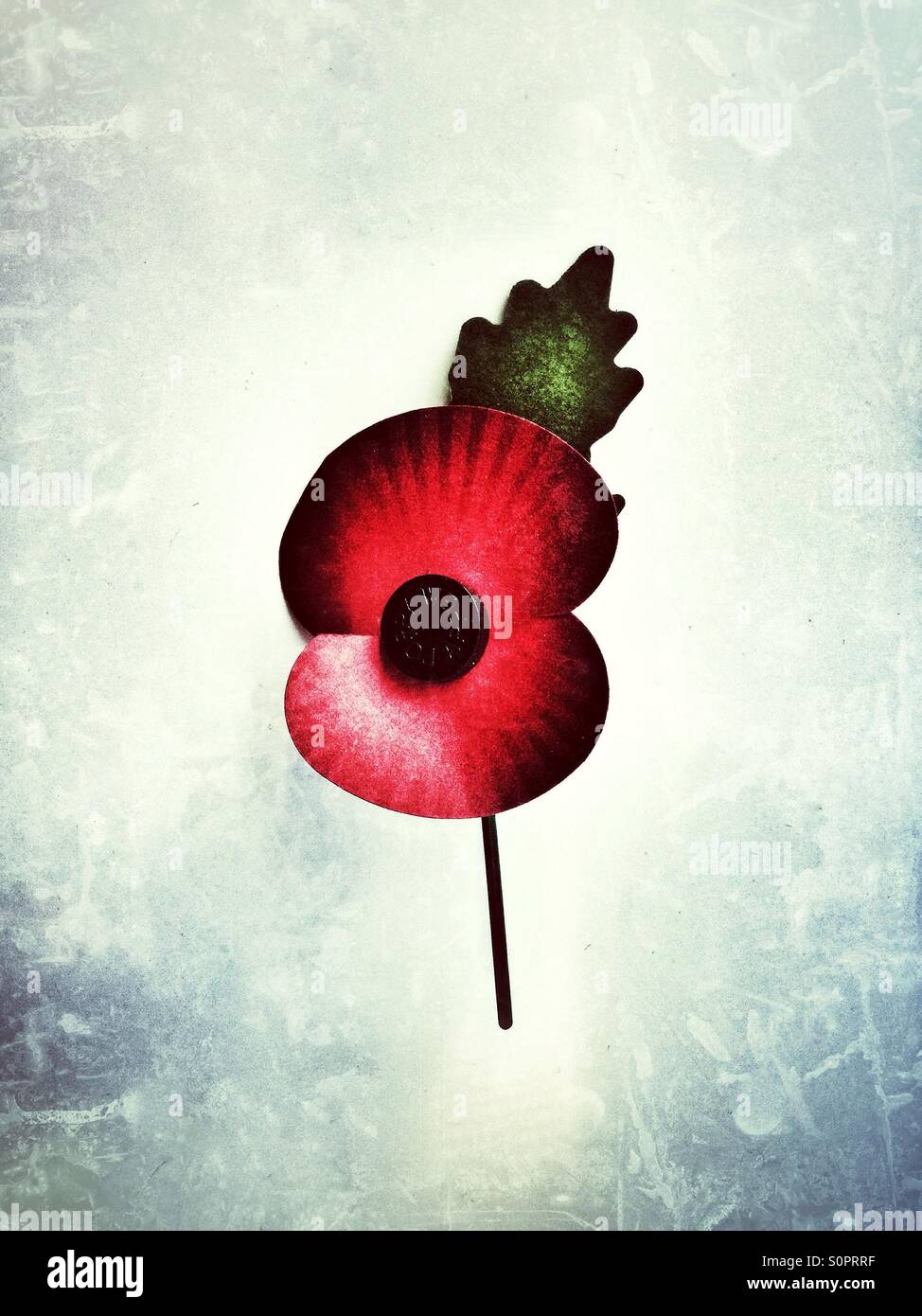 Remembrance Poppy Cut Out High Resolution Stock Photography and Images ...
