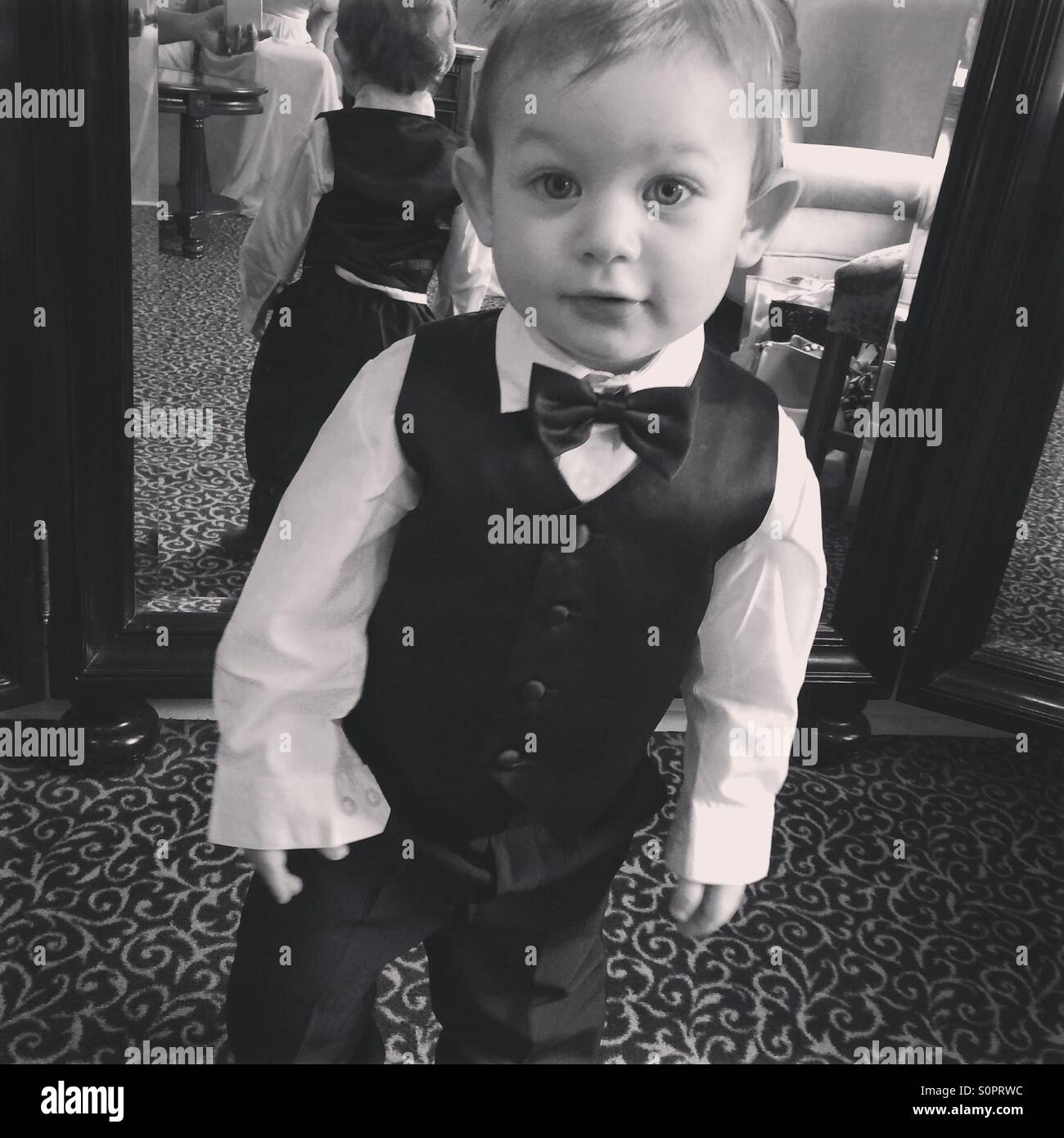 Tux hi-res stock photography and images - Alamy