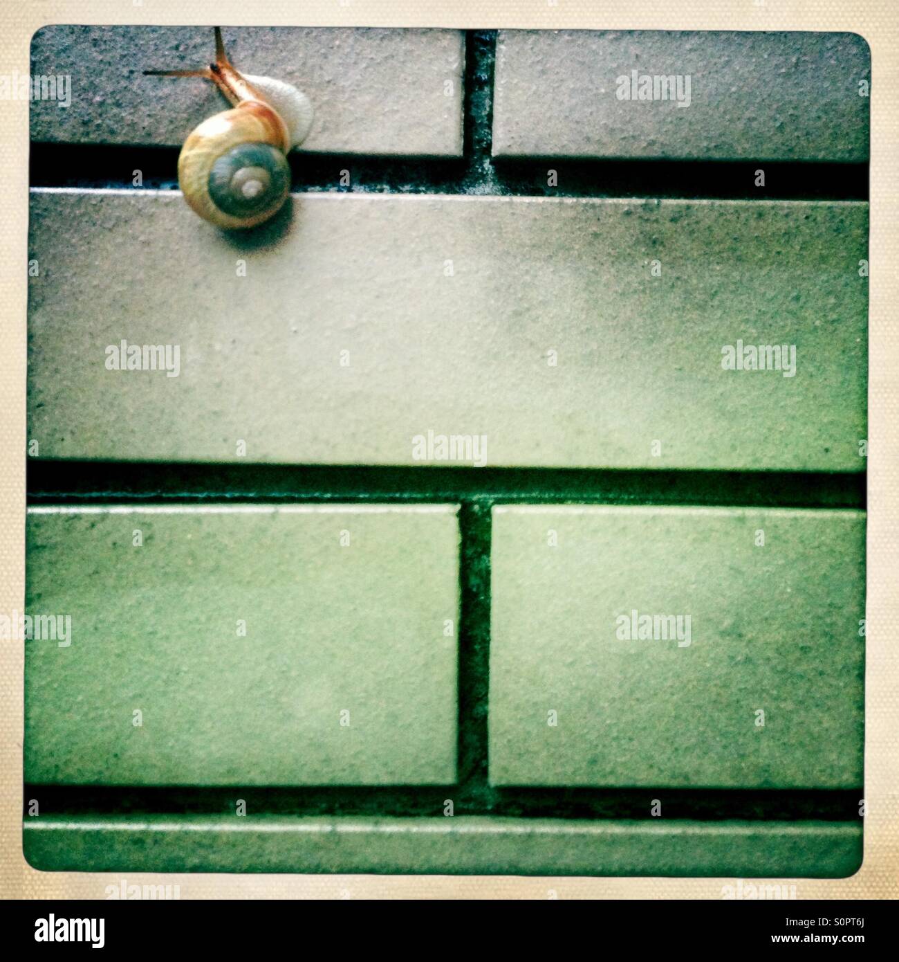 Shell wall hi-res stock photography and images - Alamy