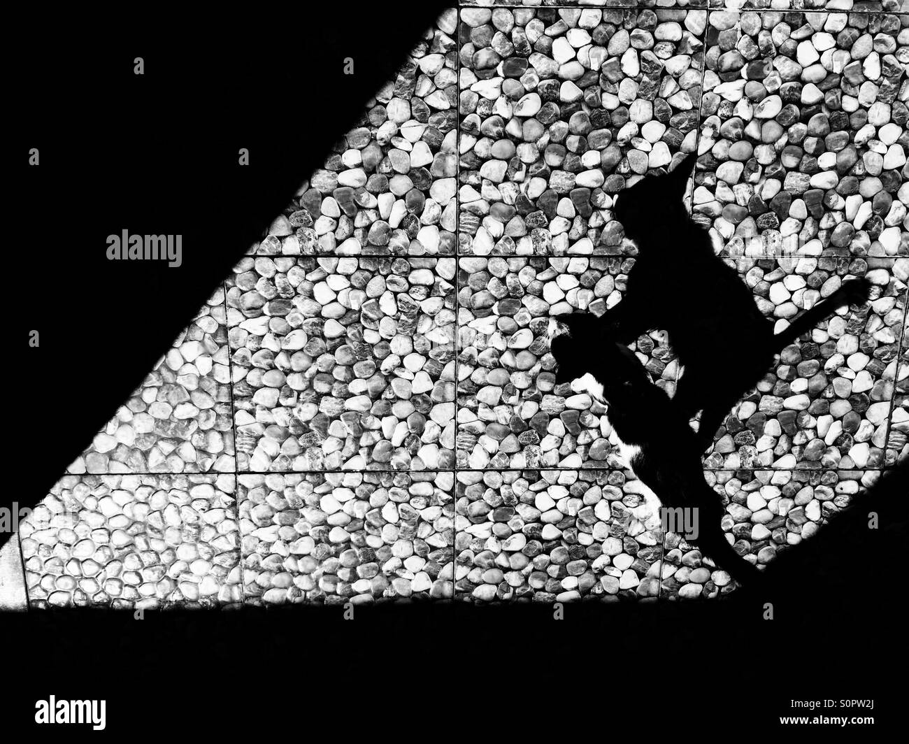 Shadow black white hi-res stock photography and images - Alamy