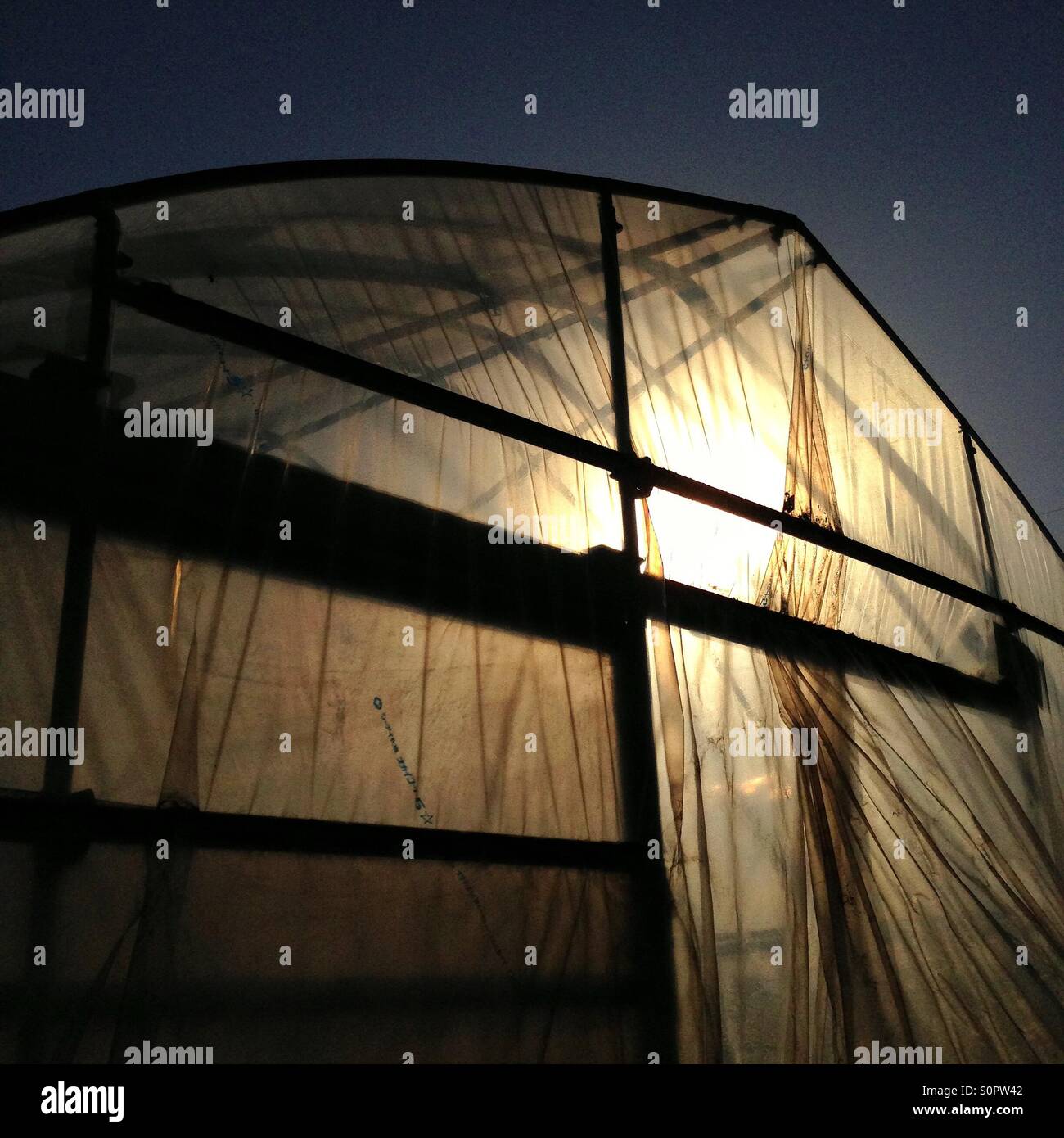 Sunlight shining through a plastic greenhouse Stock Photo - Alamy