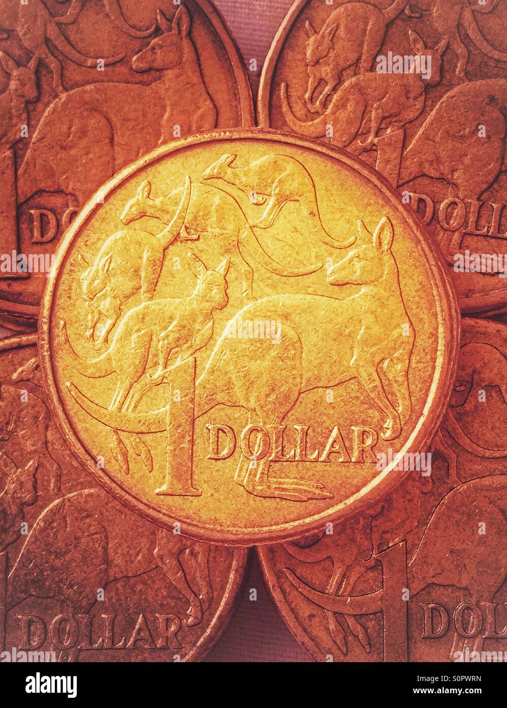 Australian one dollar coins Stock Photo - Alamy