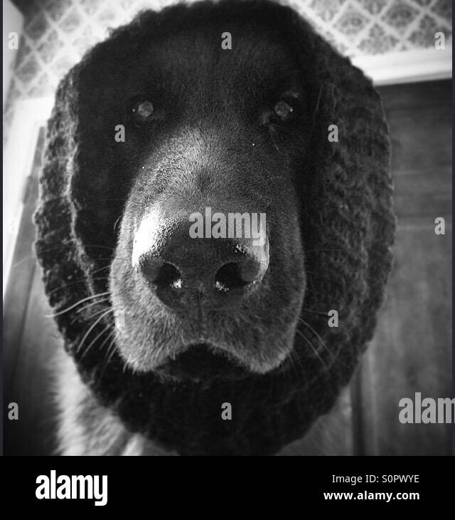 Very cold outside hi-res stock photography and images - Alamy