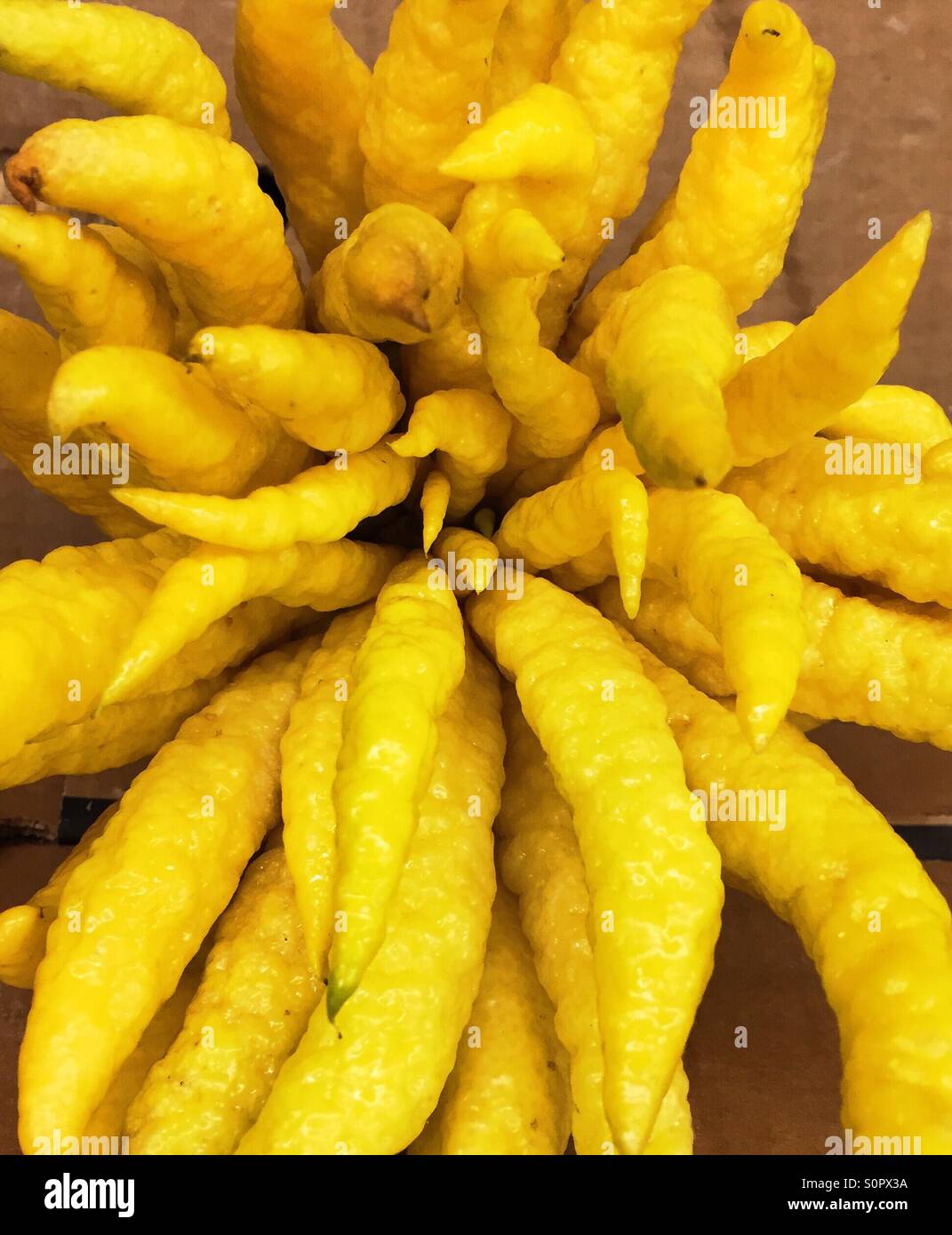 Citron buddhas hand fruit hi-res stock photography and images - Alamy