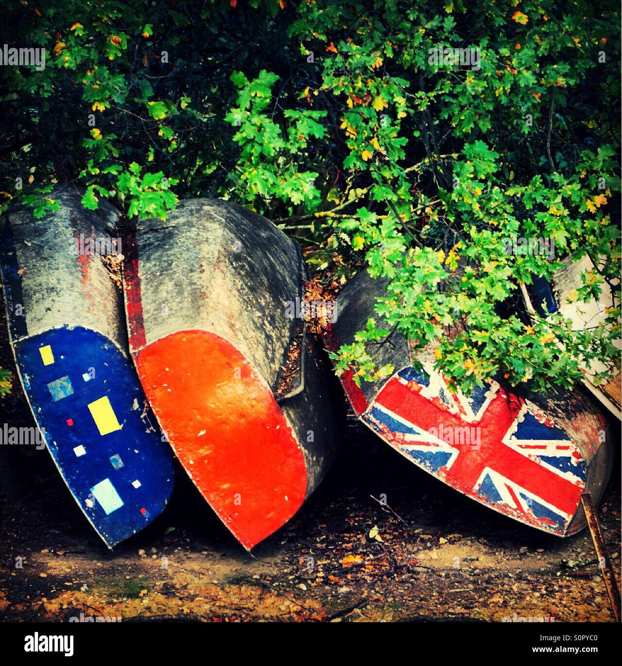 Row boats under green leafy tree with Union Jack flag painted on one ...