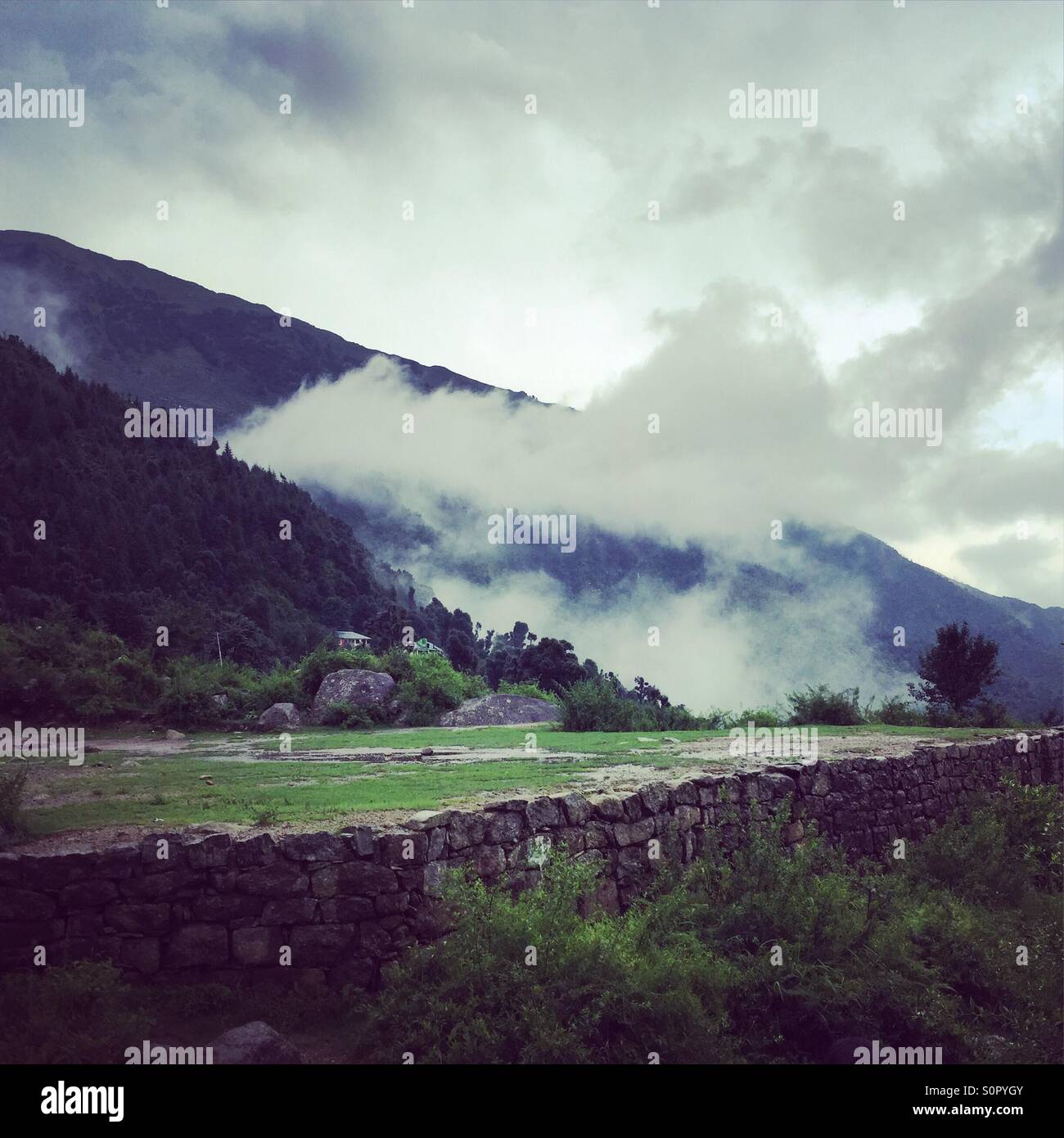 Lost in the beauty hi-res stock photography and images - Alamy