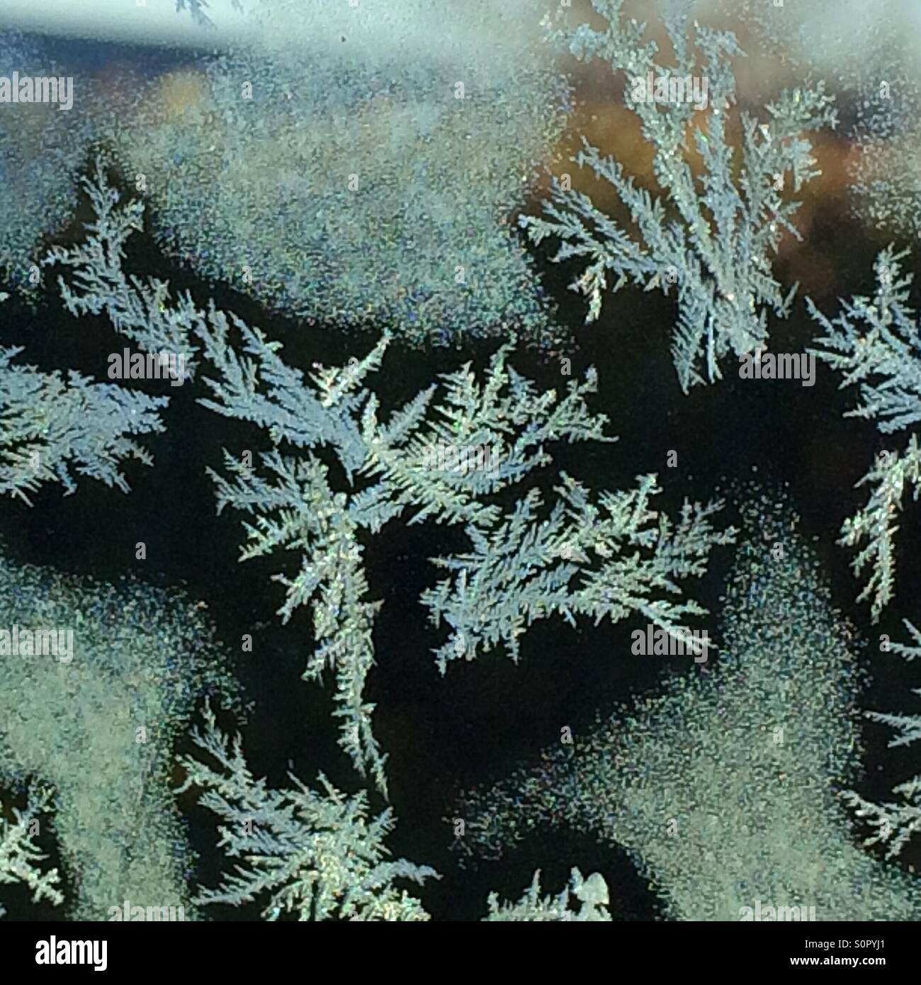 Ice crystals on the windshield Stock Photo - Alamy