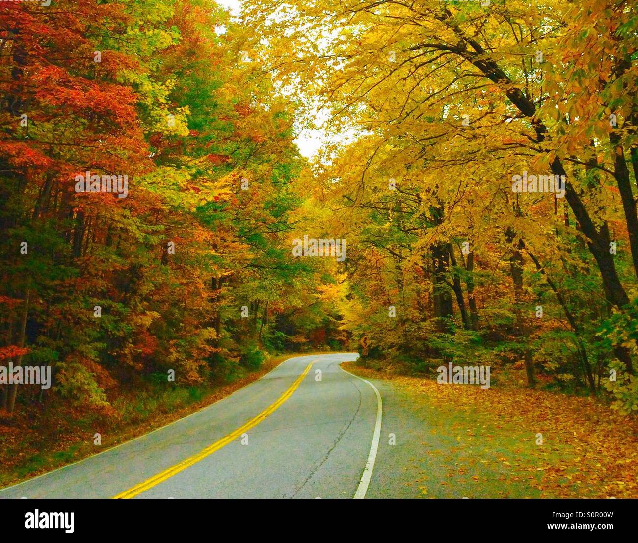Surrounded breathtaking fall colors hi-res stock photography and images ...