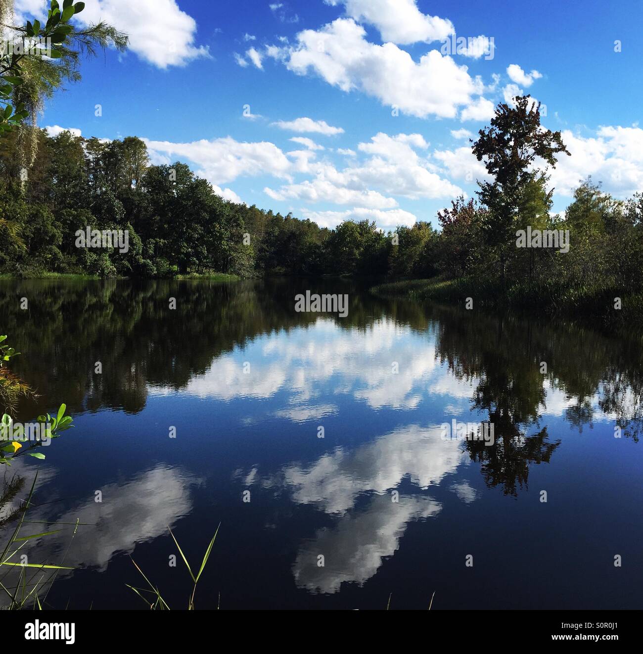 Secrete spot hi-res stock photography and images - Alamy