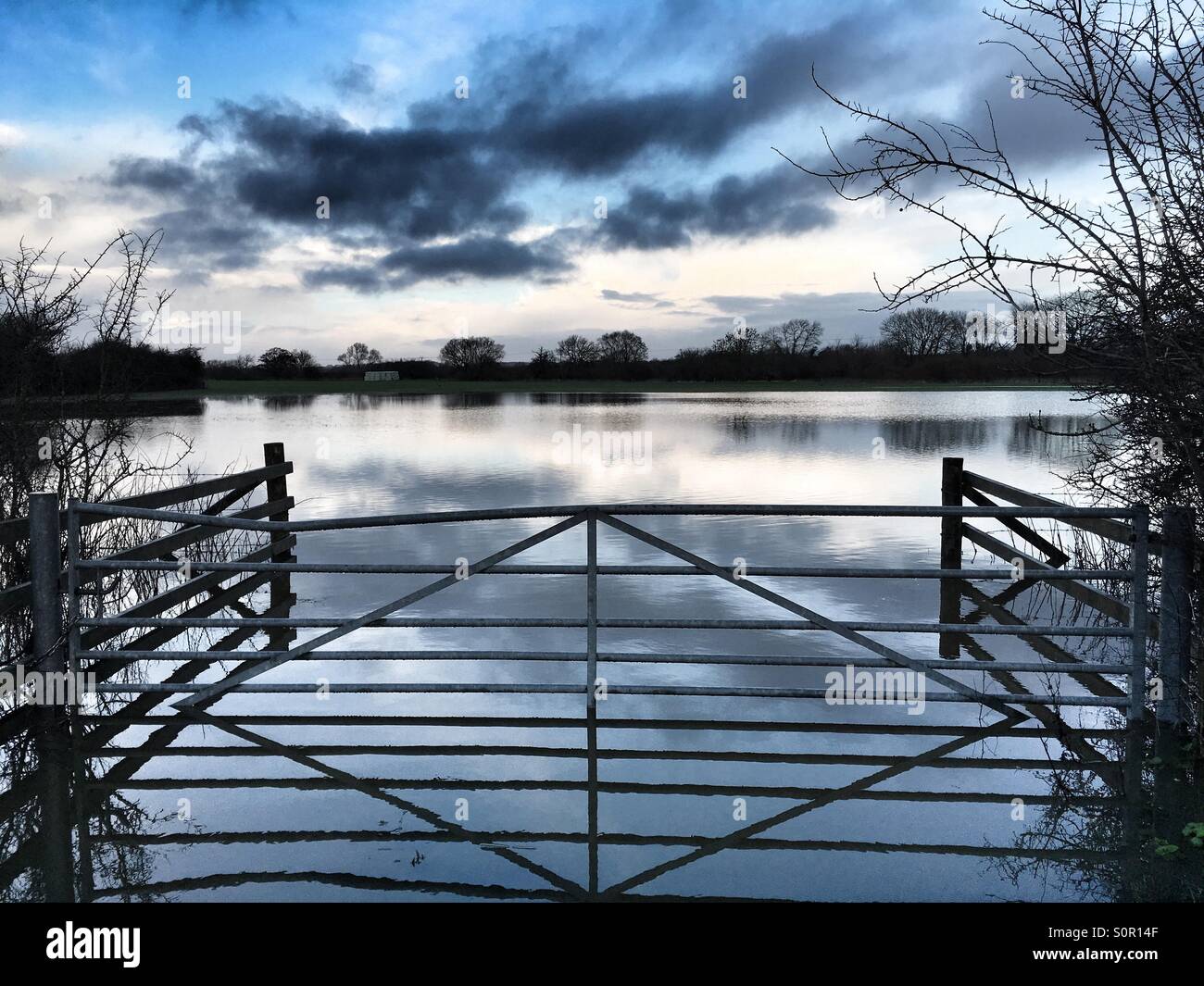 Farm gate to flooded field in Dorset UK Stock Photo - Alamy