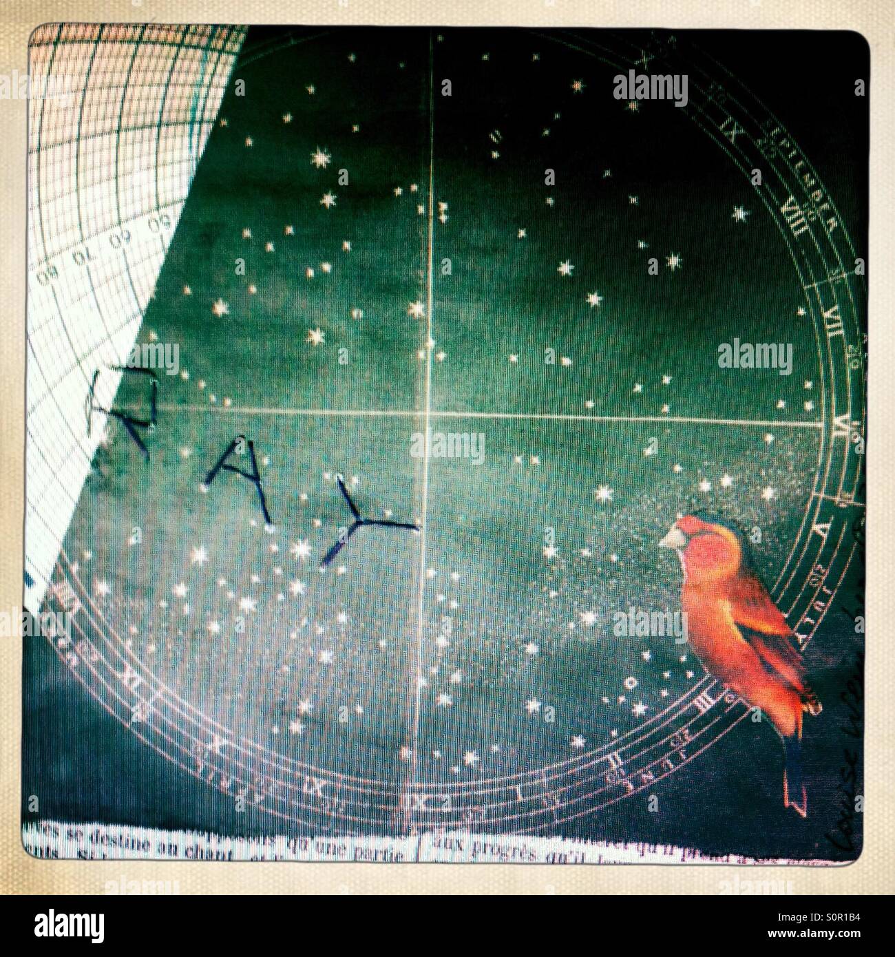 Star Chart for Ray Stock Photo - Alamy