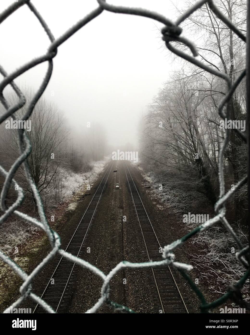 Cinematic fog hi-res stock photography and images - Alamy