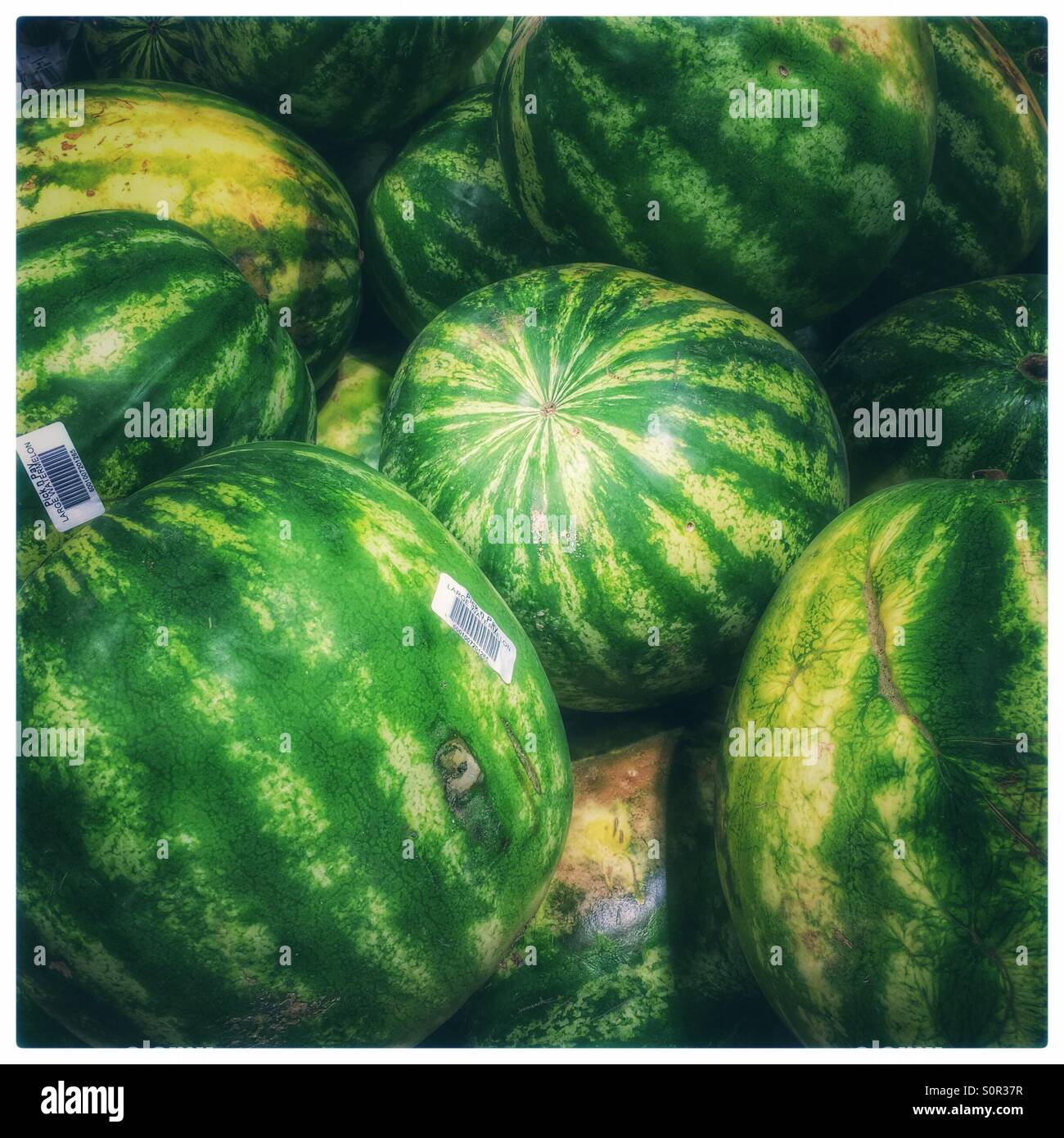 Watermelons in supermarket Stock Photo - Alamy