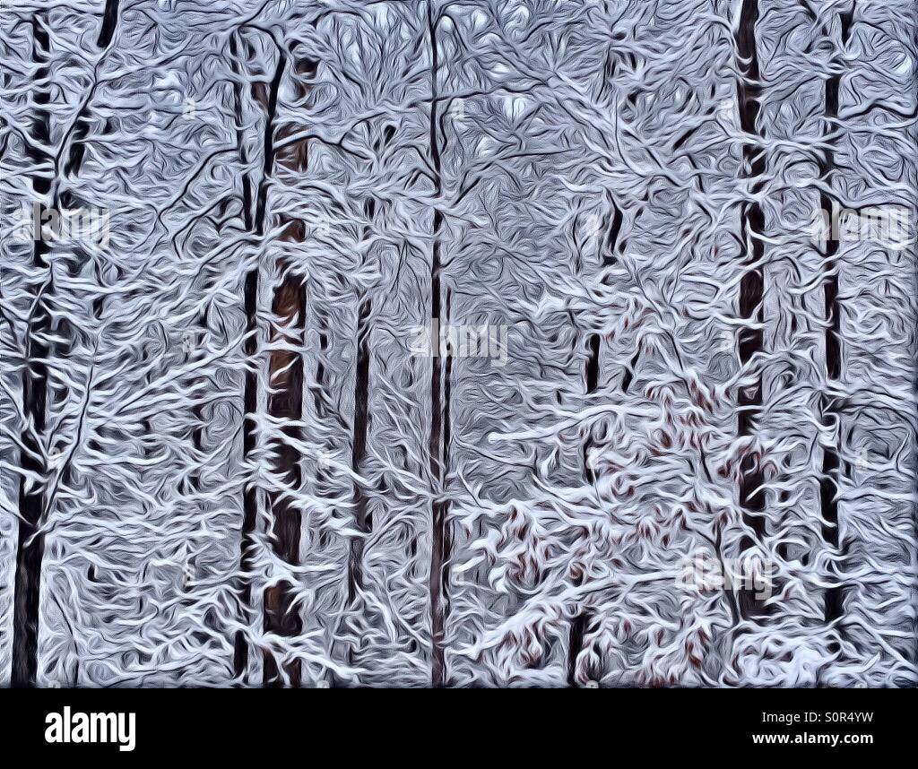 Snowy ice trees in winter Stock Photo - Alamy