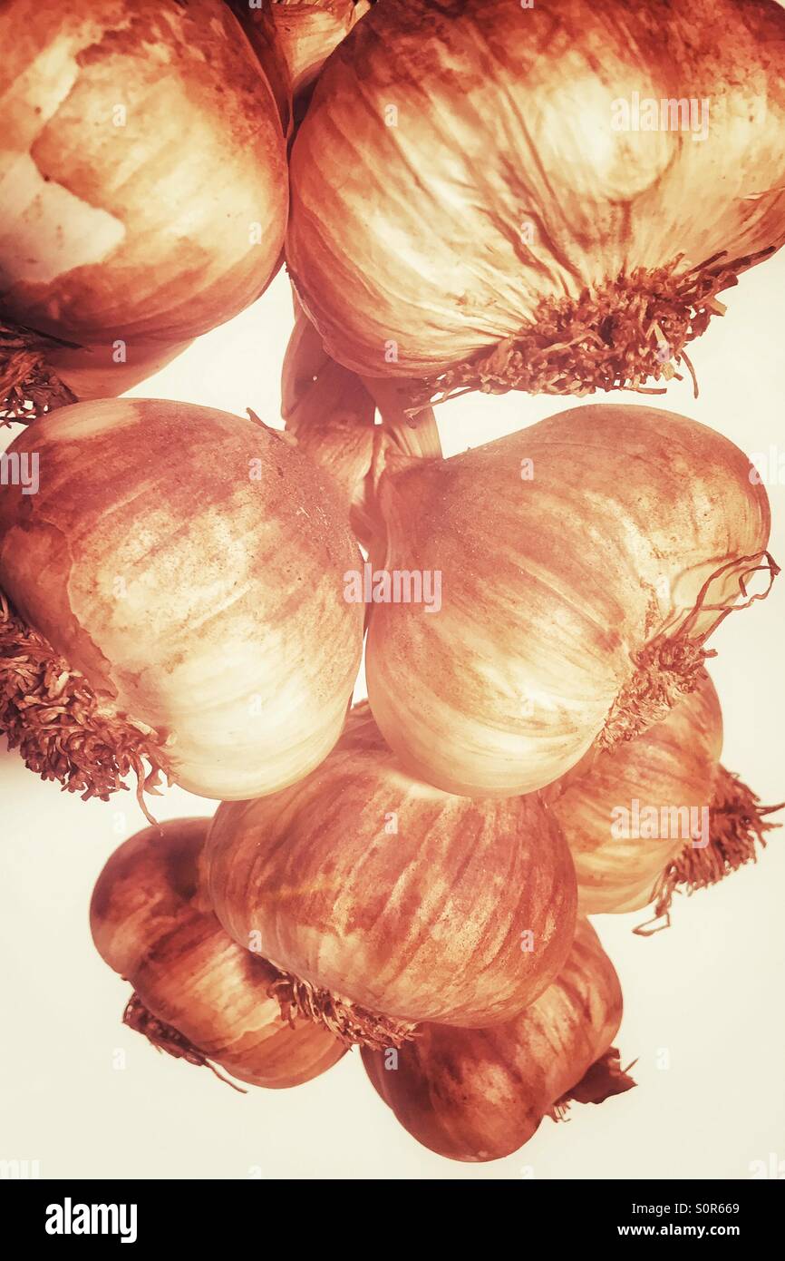 String of garlic Stock Photo - Alamy