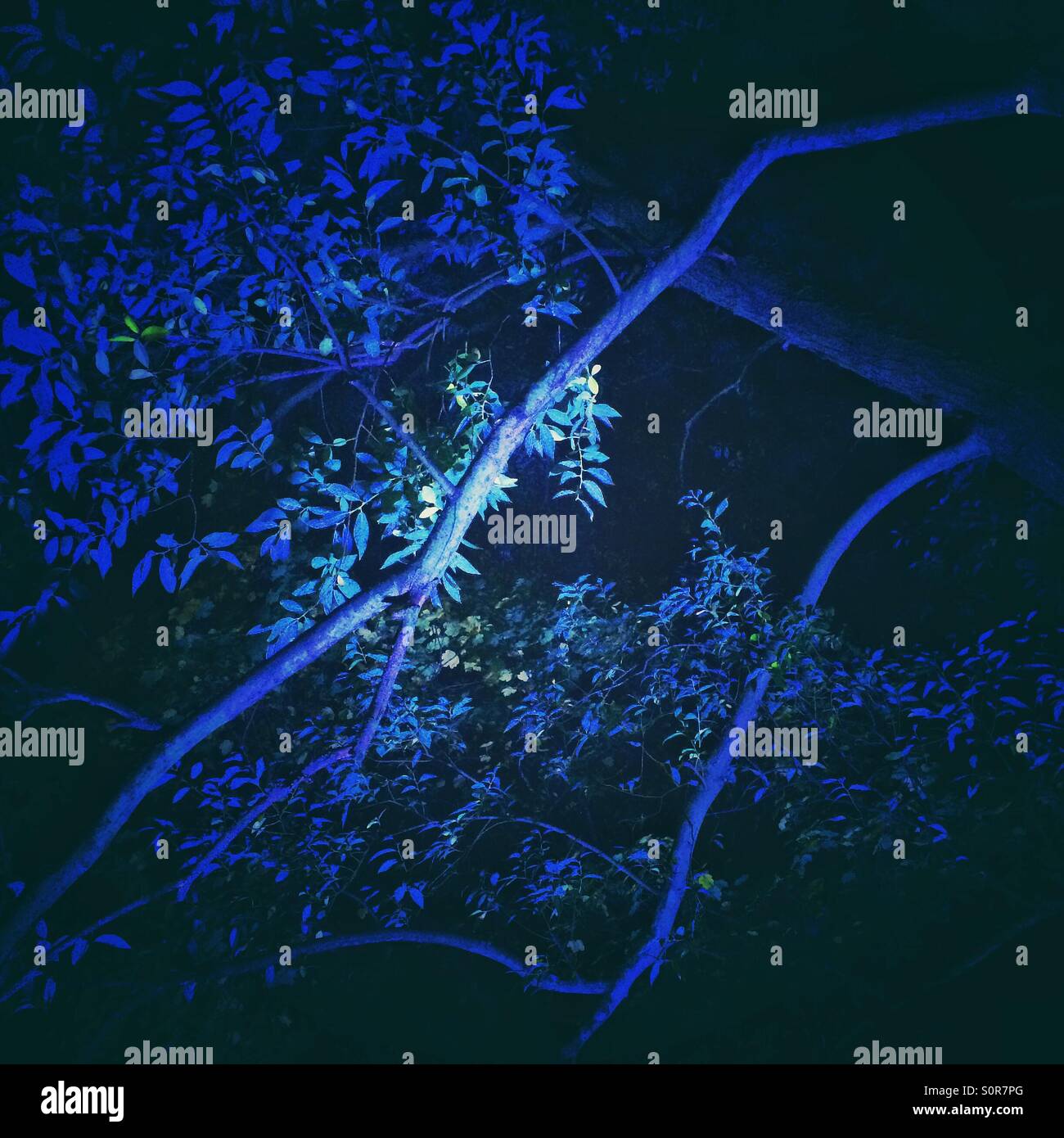 Unnatural light hi-res stock photography and images - Alamy