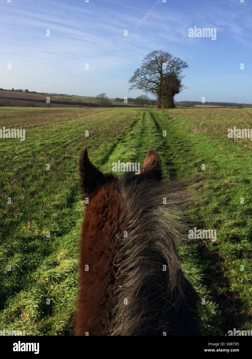 English field hi-res stock photography and images - Alamy