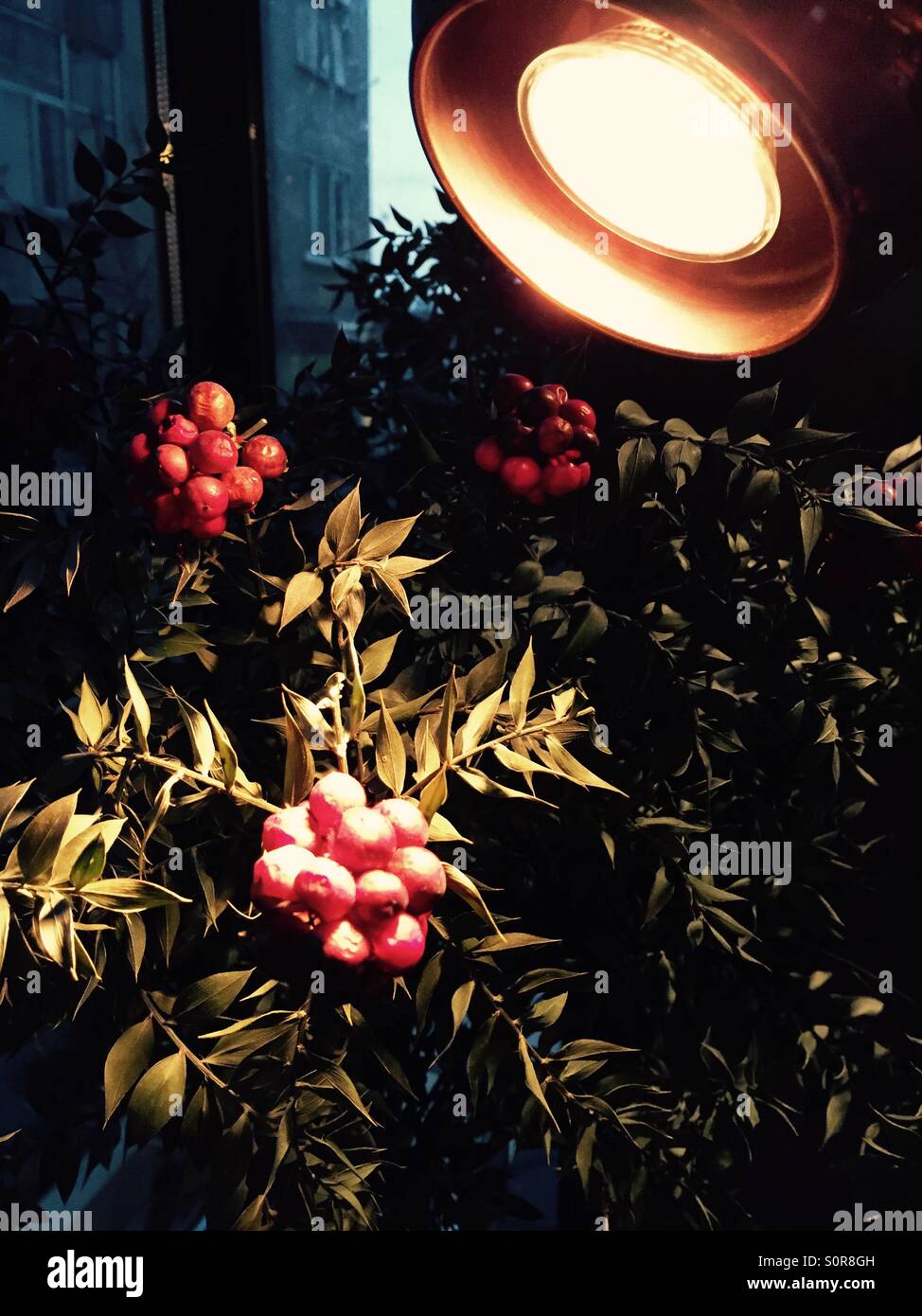 Very bright lamp hi-res stock photography and images - Alamy