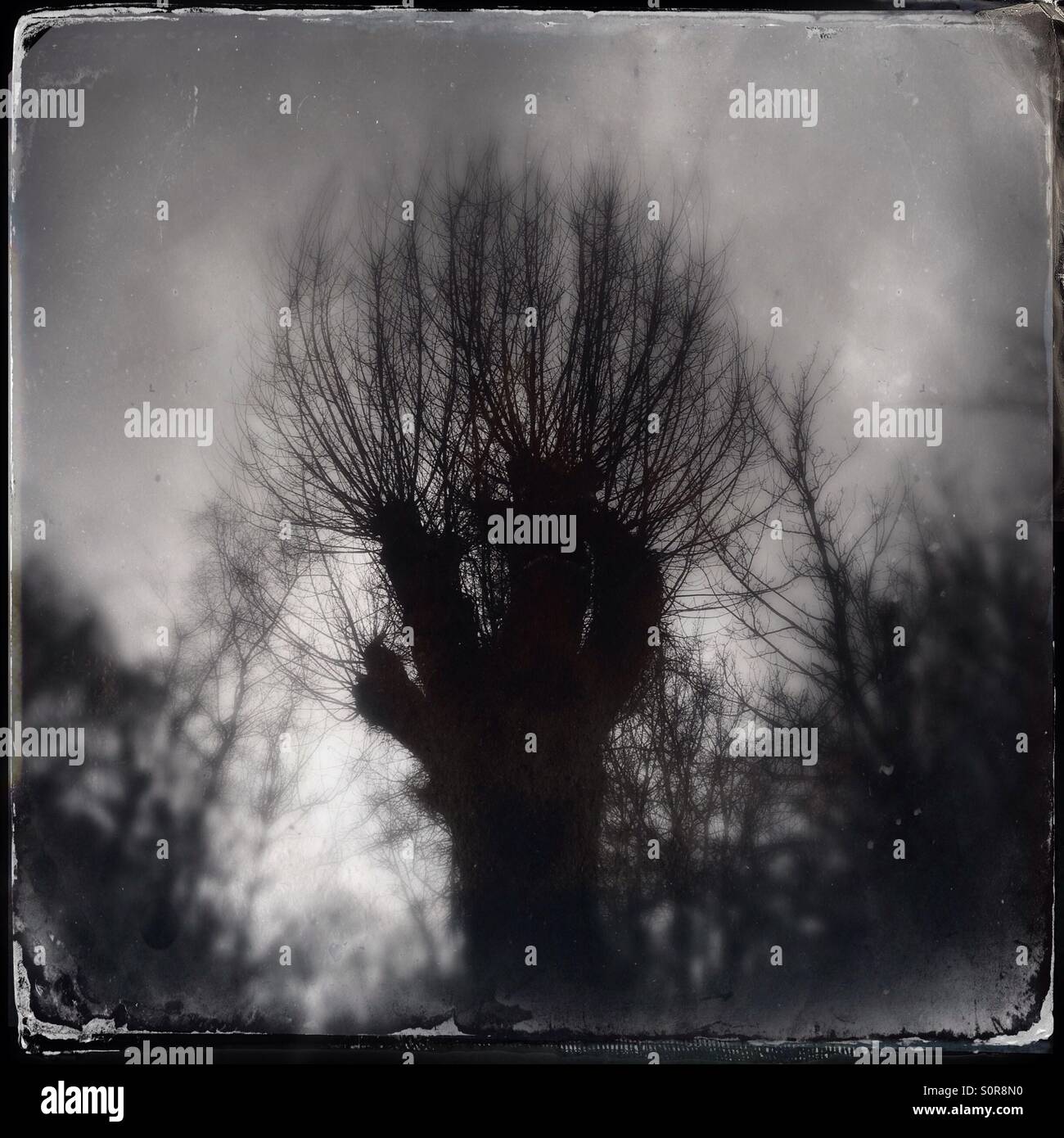 Sad scenery hi-res stock photography and images - Alamy