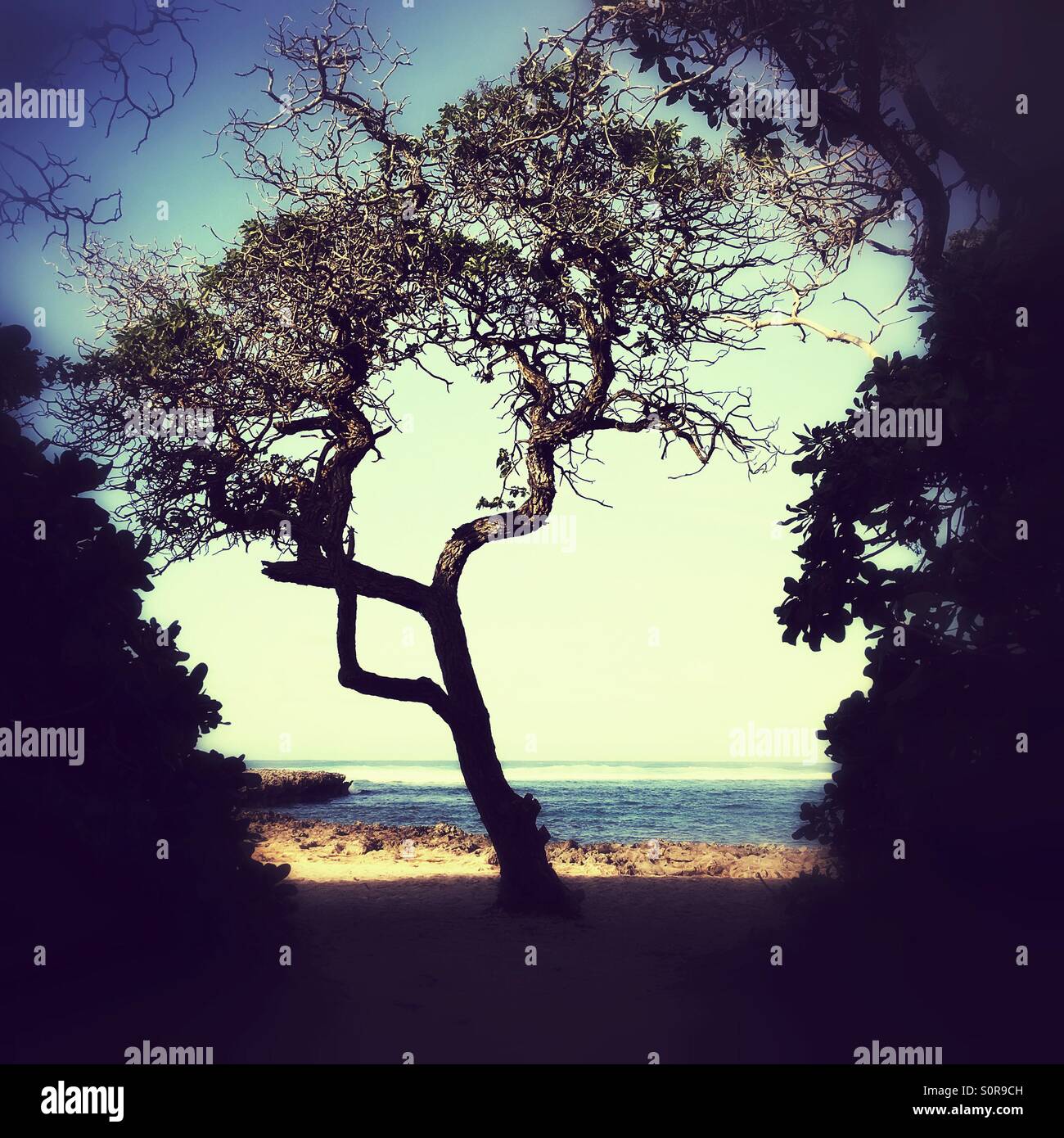 Just a random shot Stock Photo - Alamy