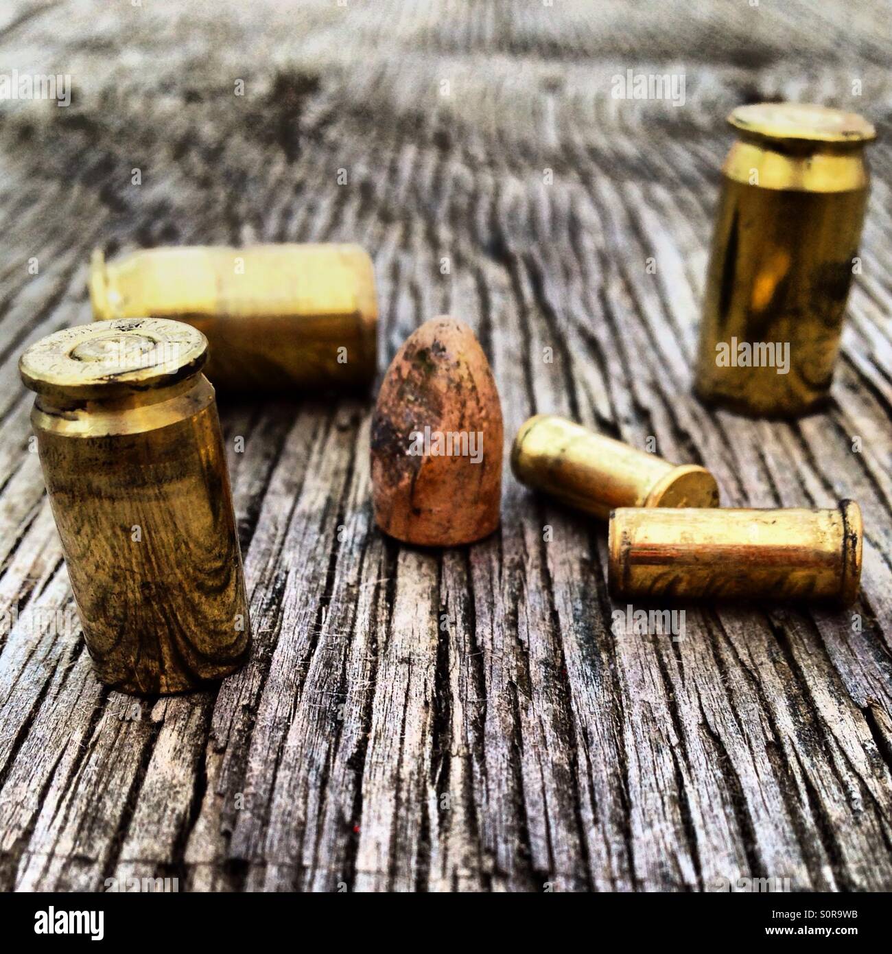 Shells range hi-res stock photography and images - Alamy