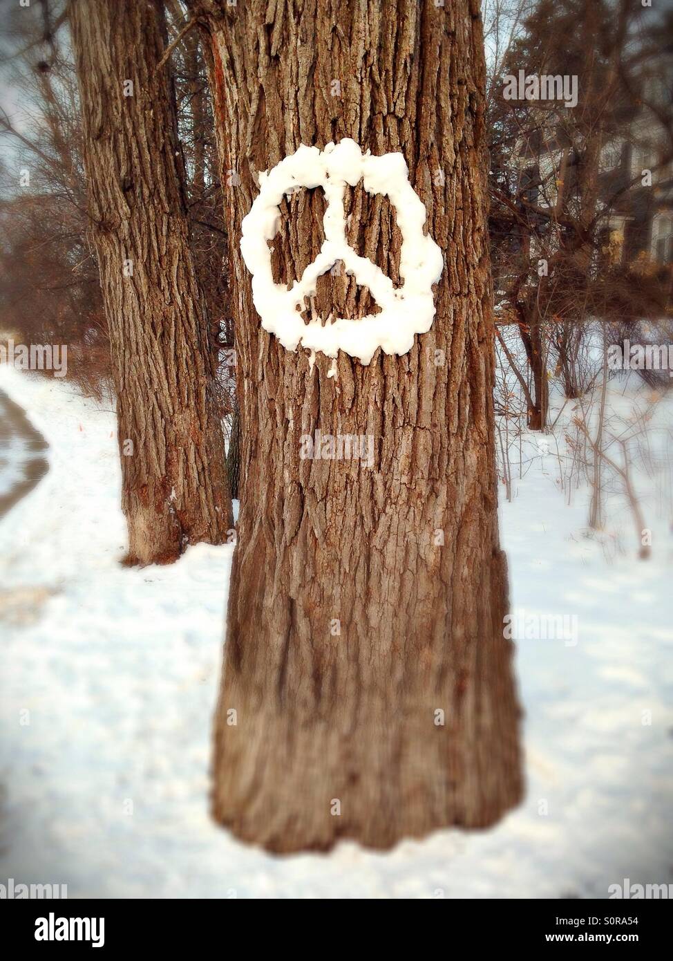 A peace sign High Resolution Stock Photography and Images - Alamy