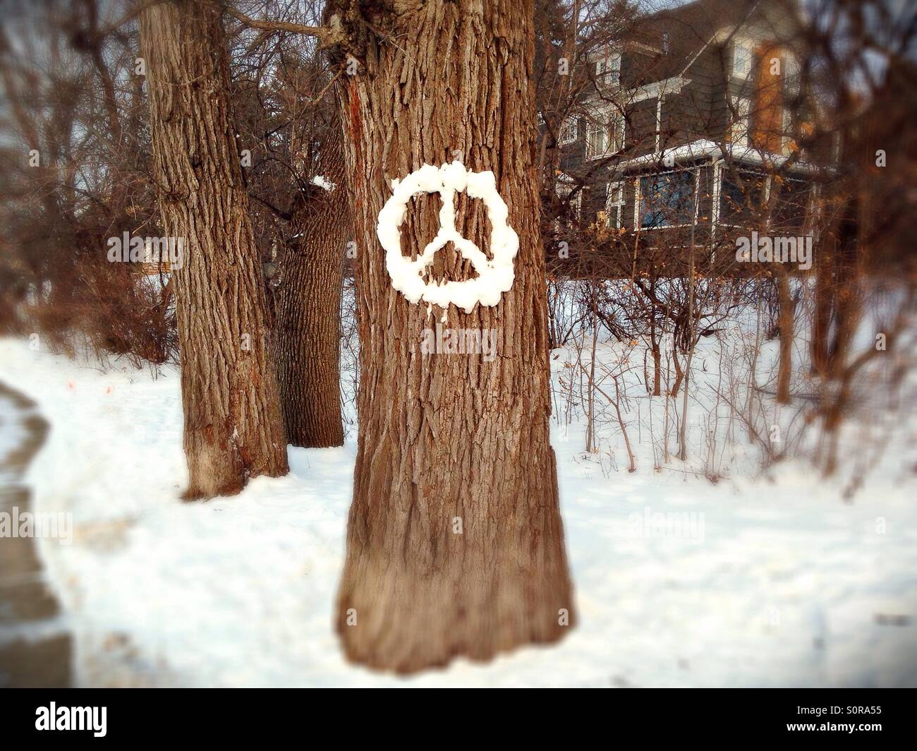 A peace sign High Resolution Stock Photography and Images - Alamy