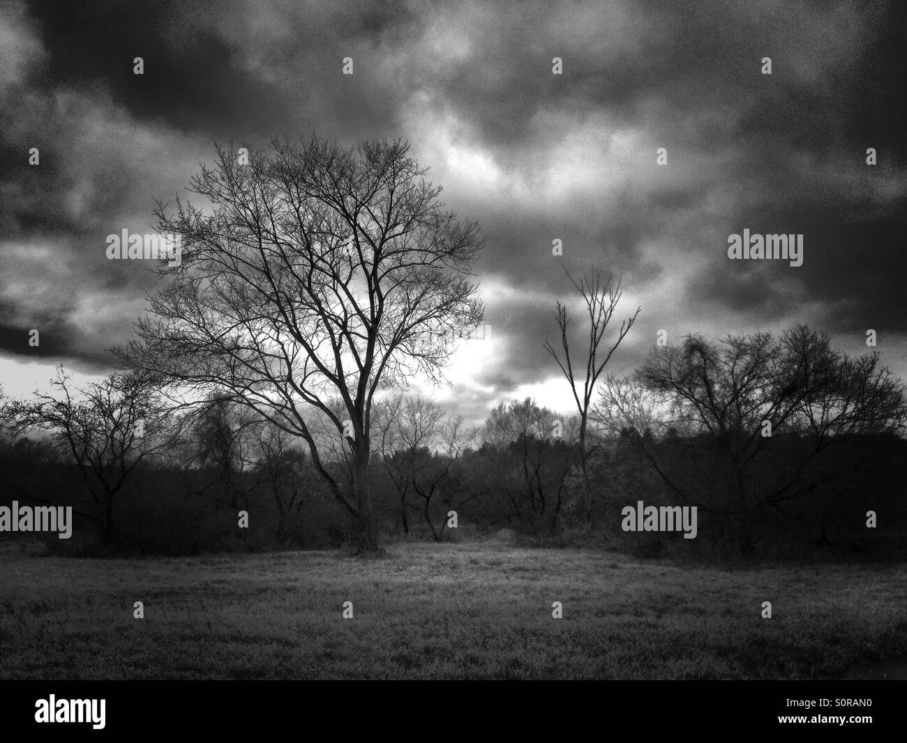 Harsh cold hi-res stock photography and images - Alamy