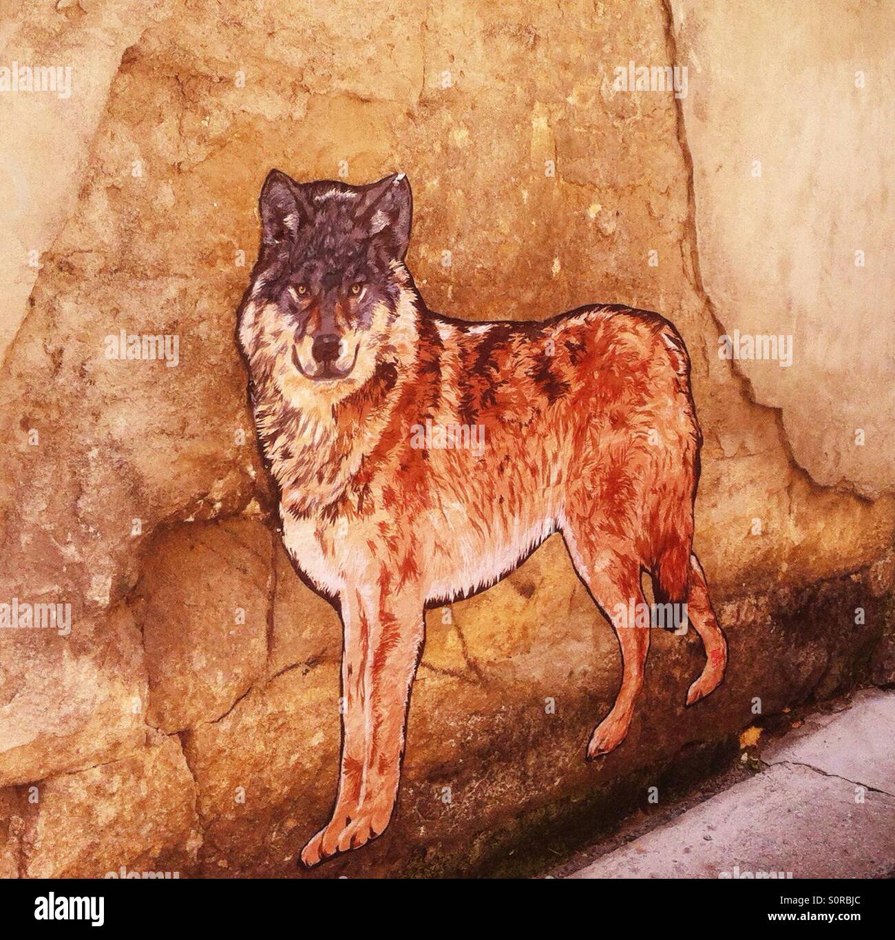 Wolf of wall street hi-res stock photography and images - Alamy