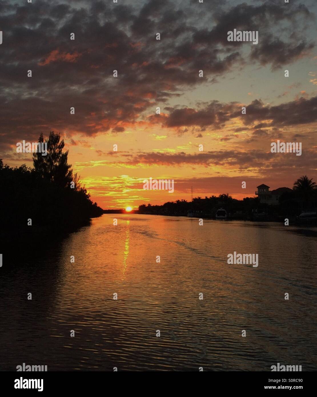 Golden florida sunset hi-res stock photography and images - Alamy