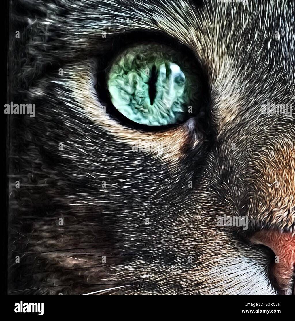 Digital cats eye Stock Photo - Alamy