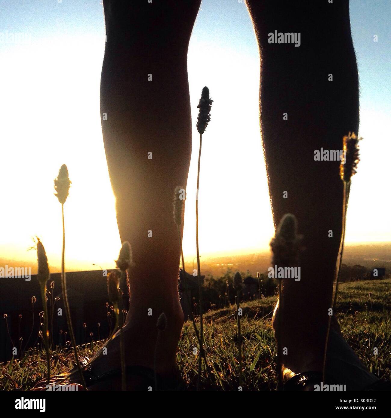 Legs with sunset Stock Photo - Alamy