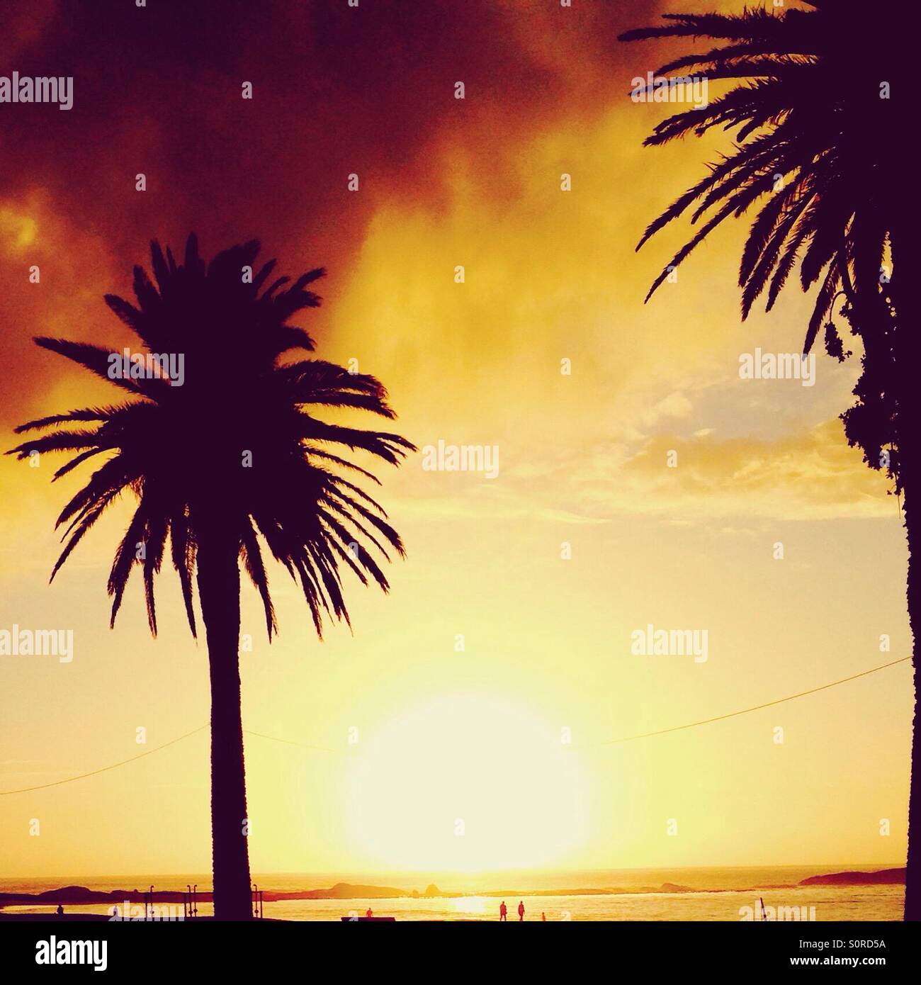 Palm Trees And Sunset Over Sea High Resolution Stock Photography and ...
