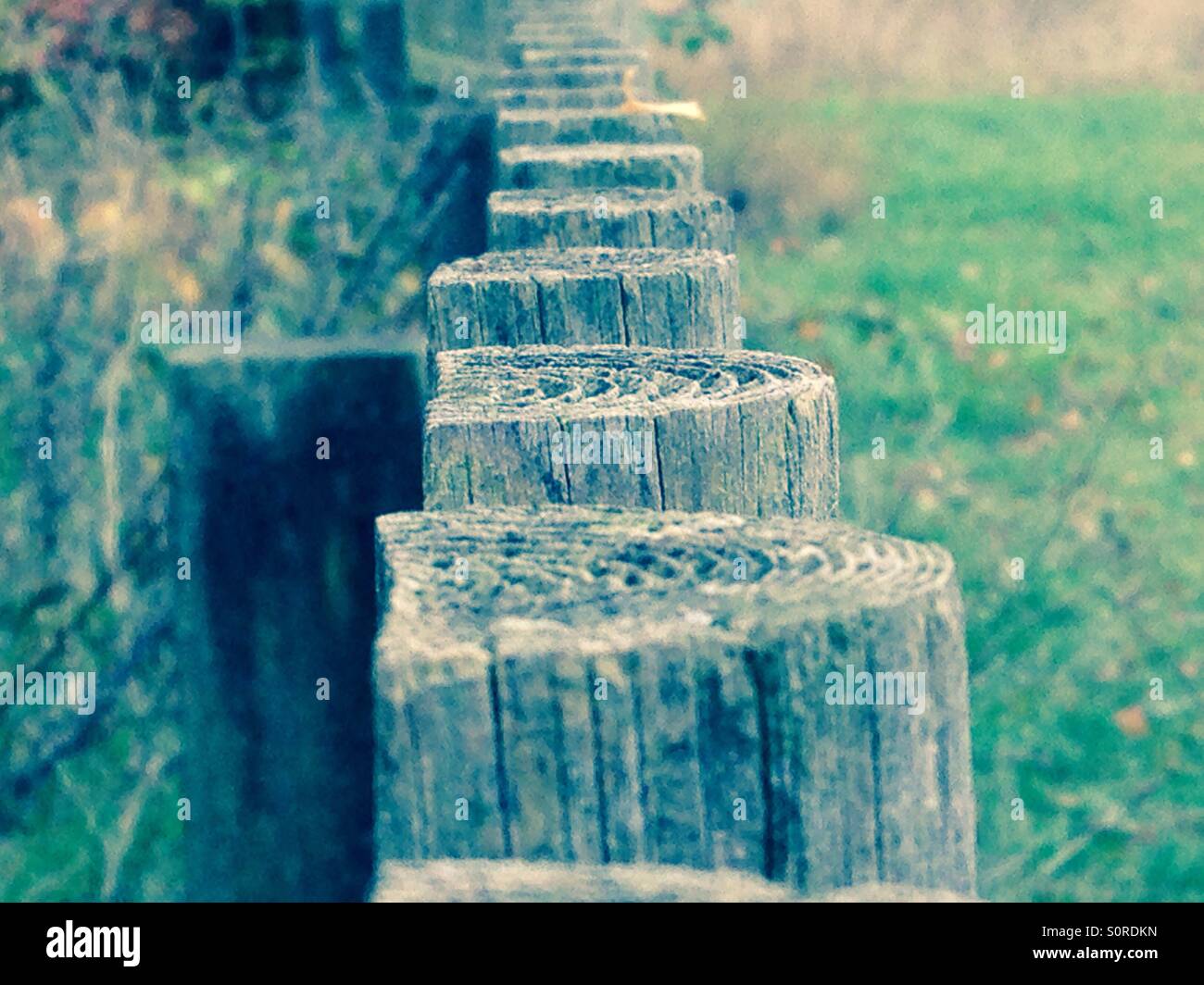Tree fence hi-res stock photography and images - Alamy