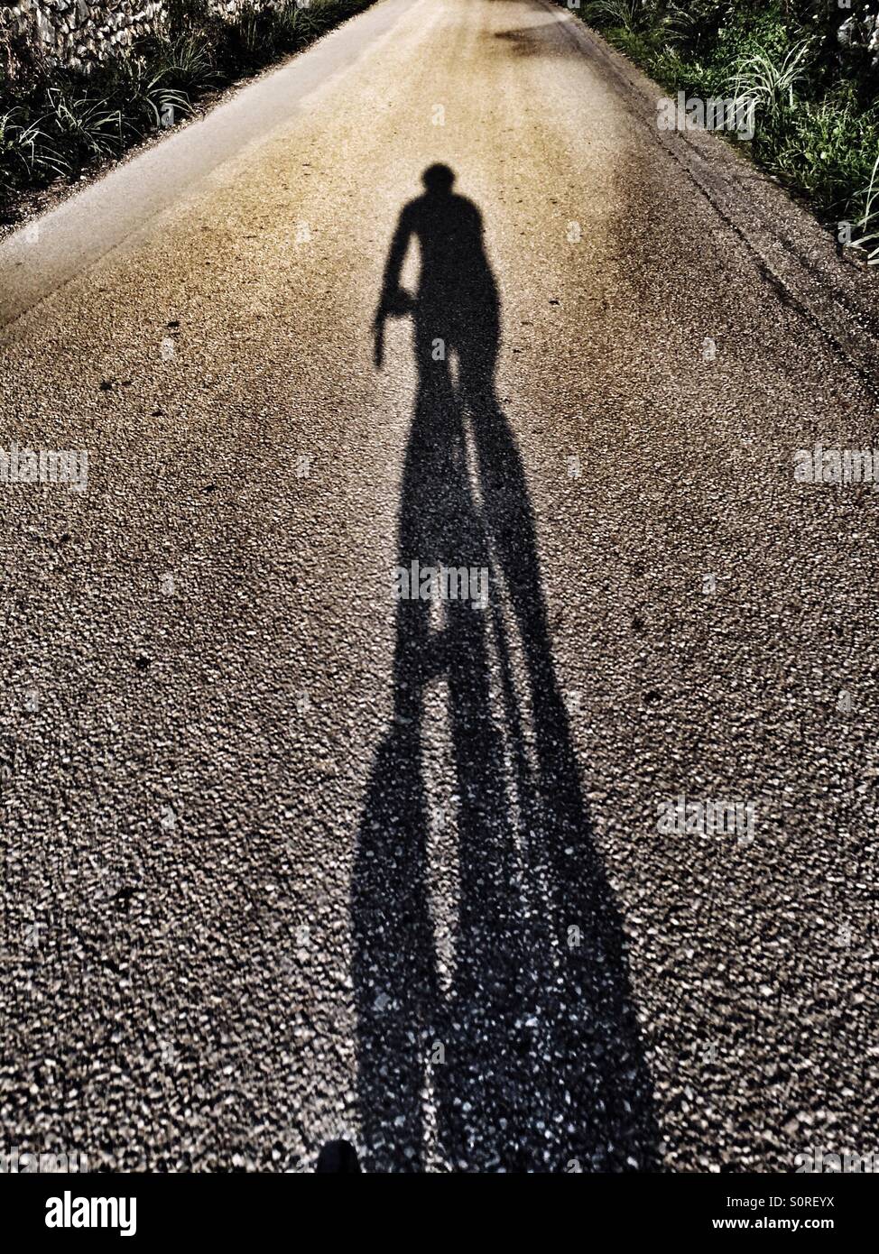 Shadow of a cyclist hi-res stock photography and images - Alamy