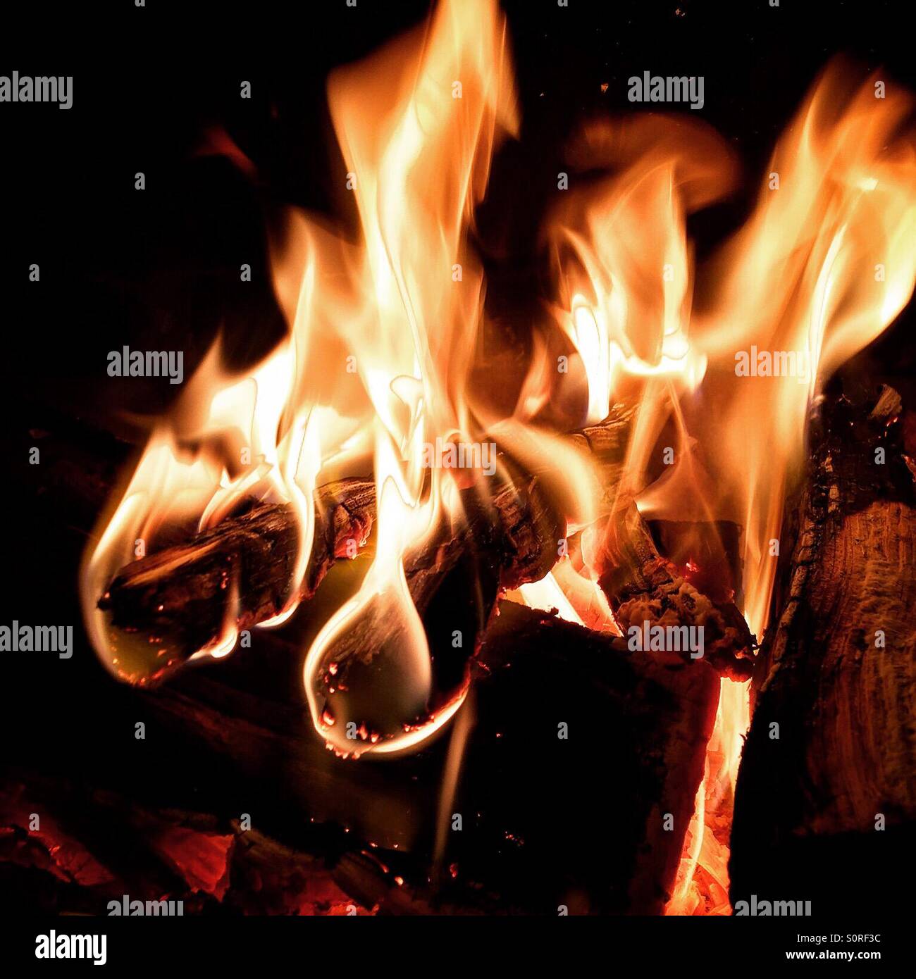 Log fire burning Stock Photo - Alamy