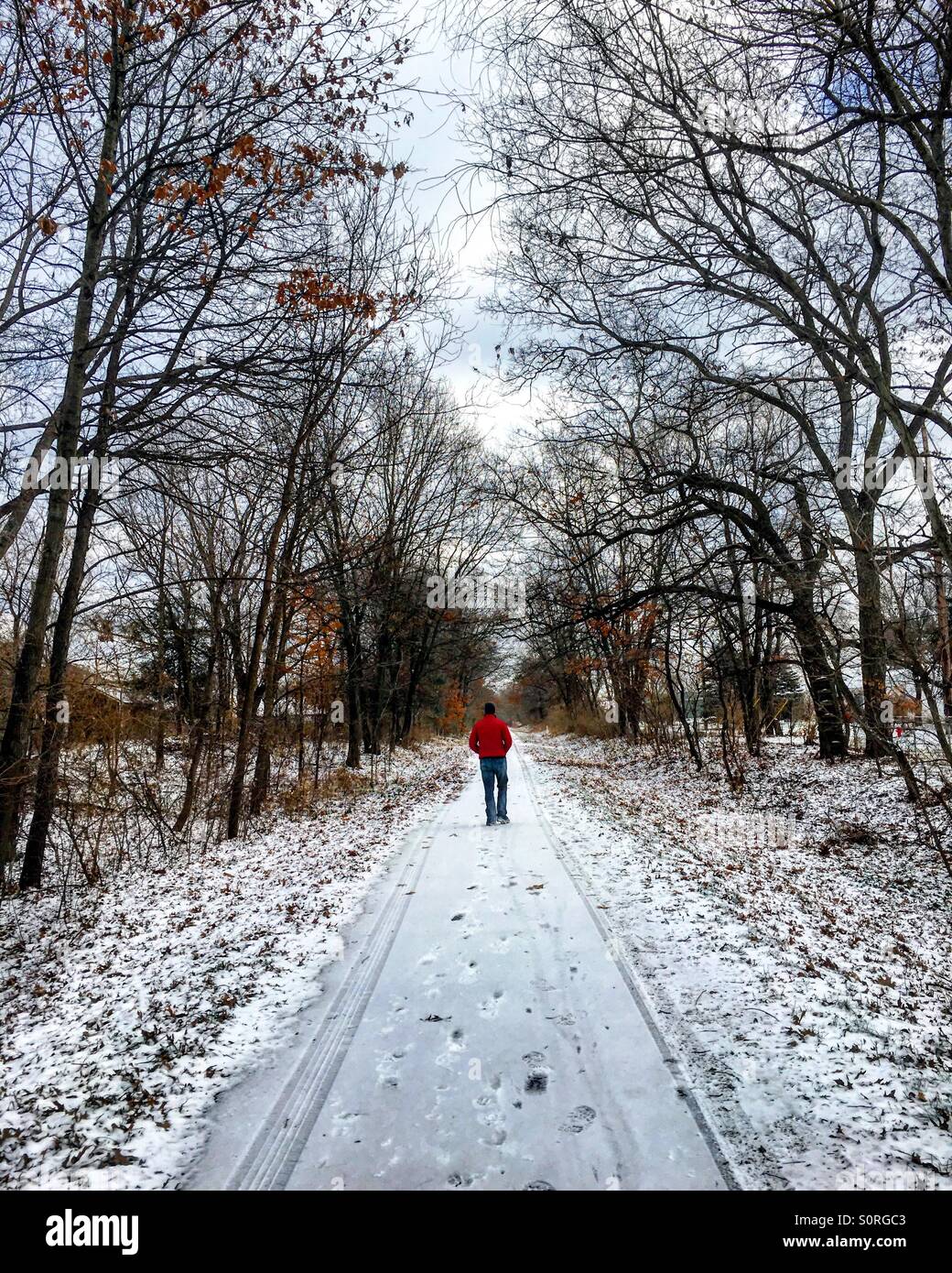 Walk to woods hi-res stock photography and images - Alamy