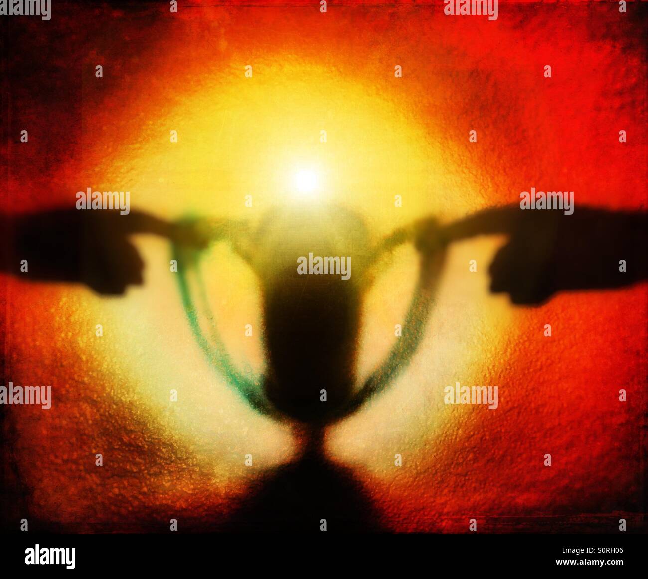 Shadow of the winners trophy Stock Photo - Alamy