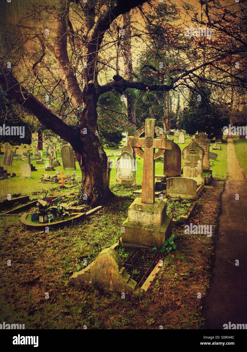 Grave yard hi-res stock photography and images - Alamy
